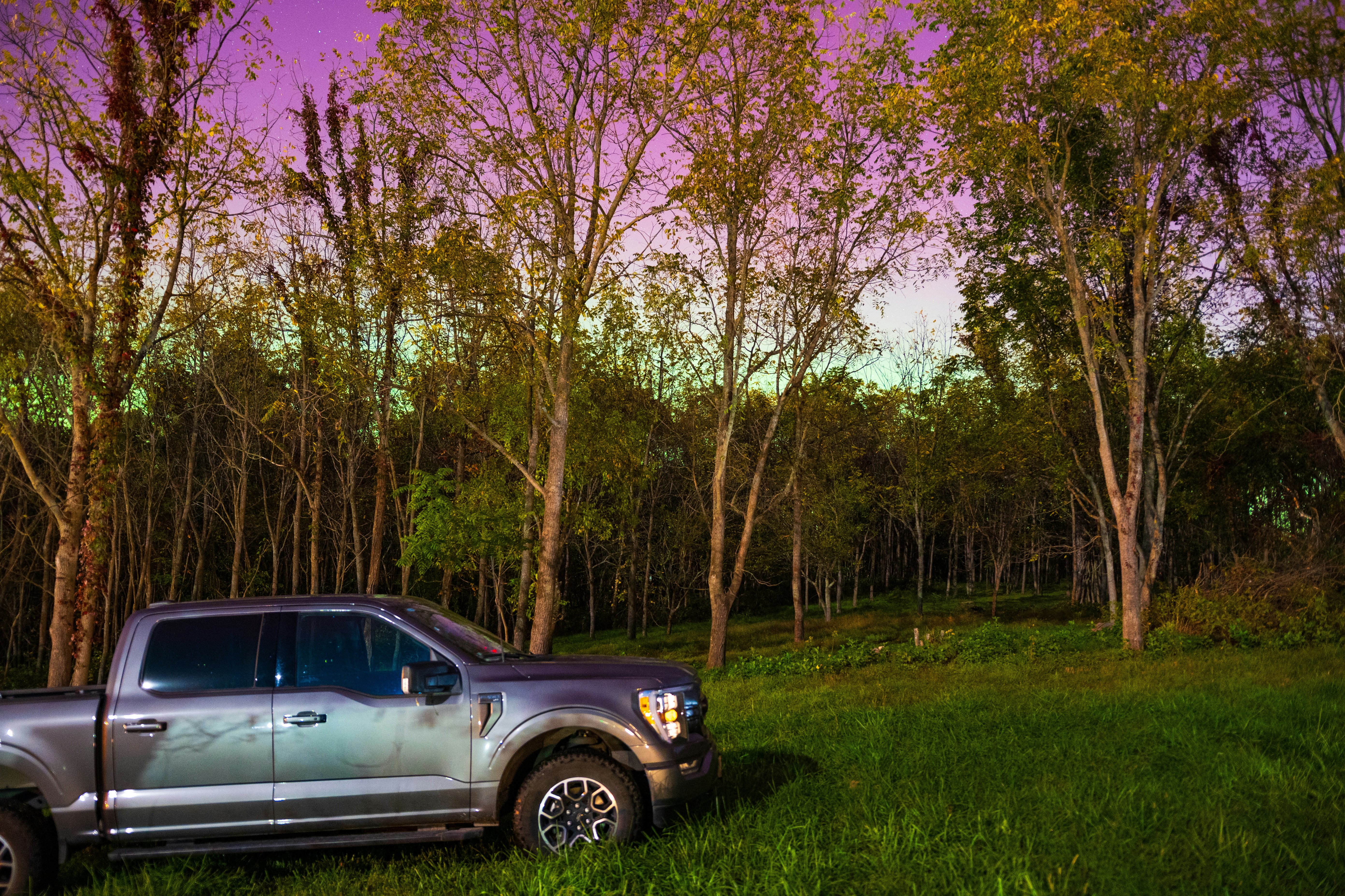 A truck sits in a field near the woods.