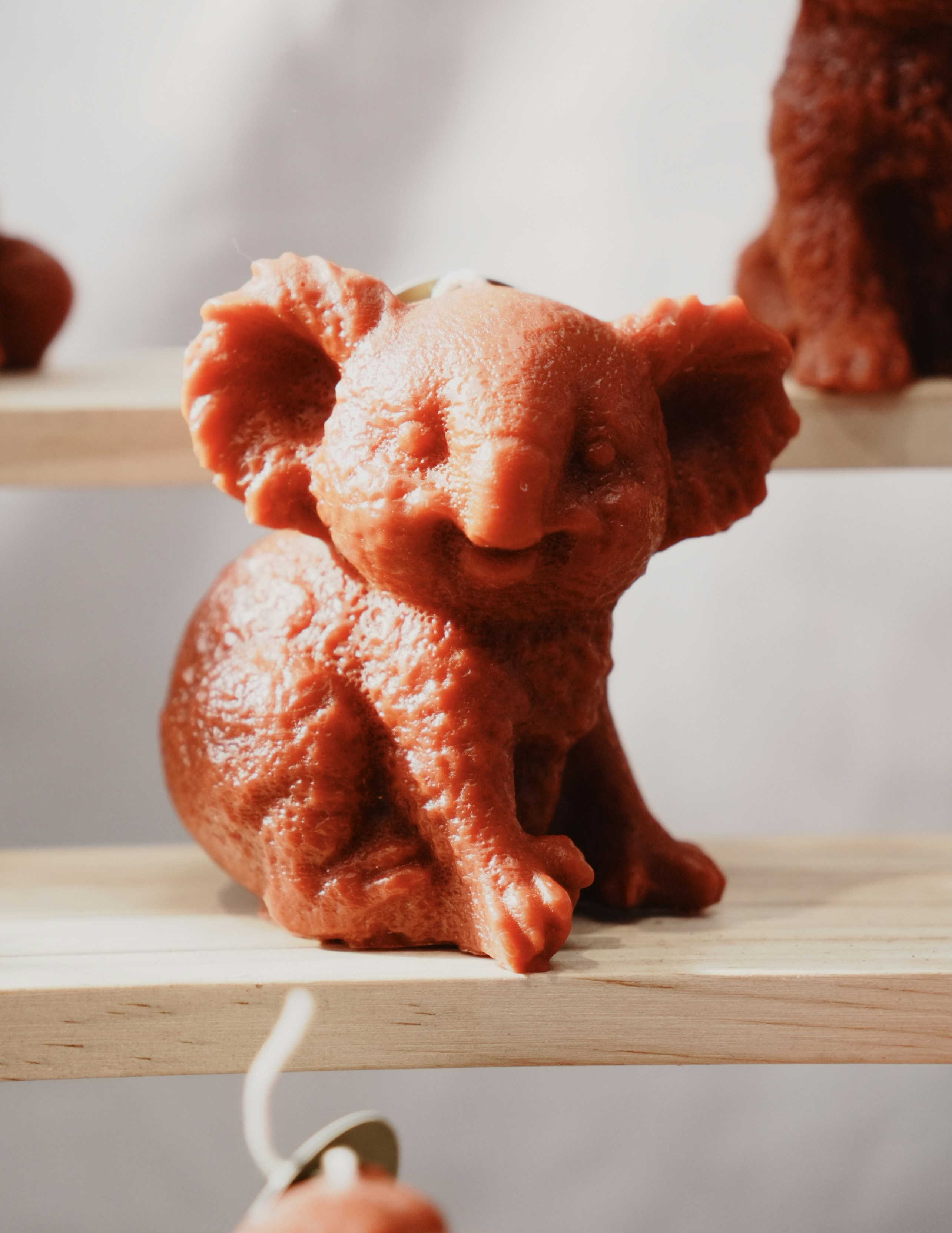 Whimsical Charm: The Playful Koala