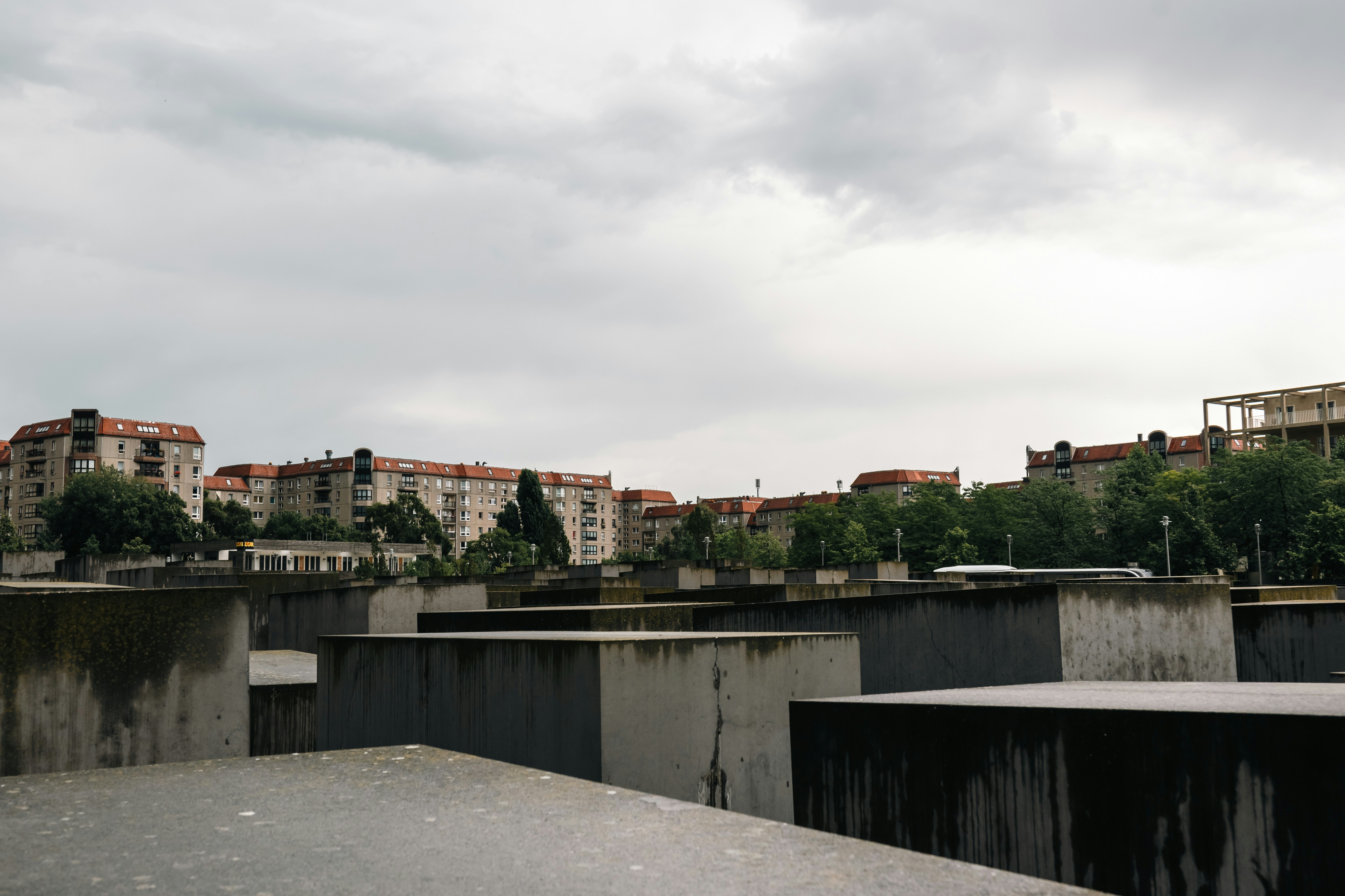 Echoes of History: A Concrete Landscape