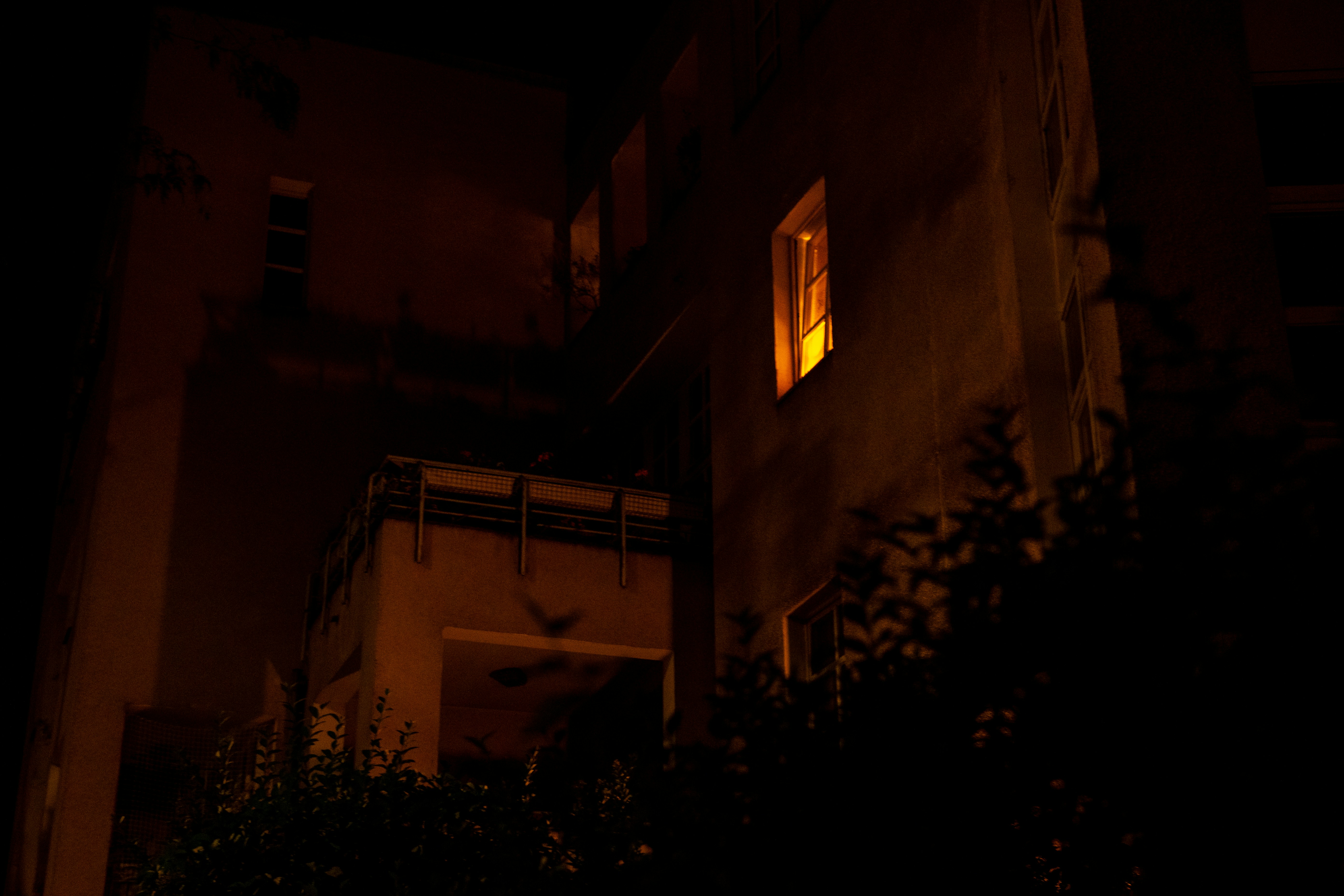 A dimly lit urban scene featuring a glowing window amidst darkened buildings, evoking a sense of mystery. The surrounding foliage adds depth to the composition.