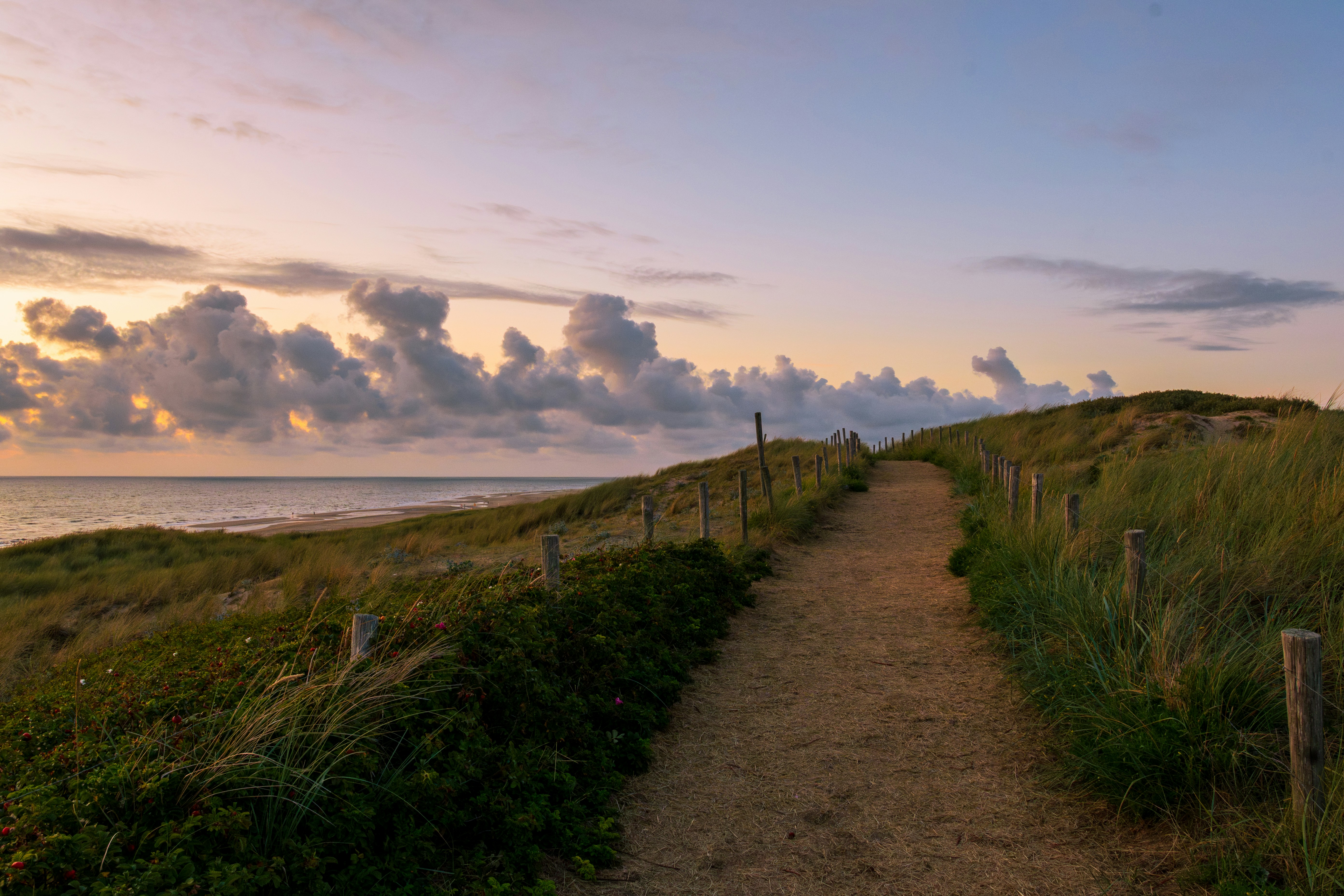 A winding sandy path bordered by lush greenery leads down to a tranquil beach at sunset, with dramatic clouds overhead.