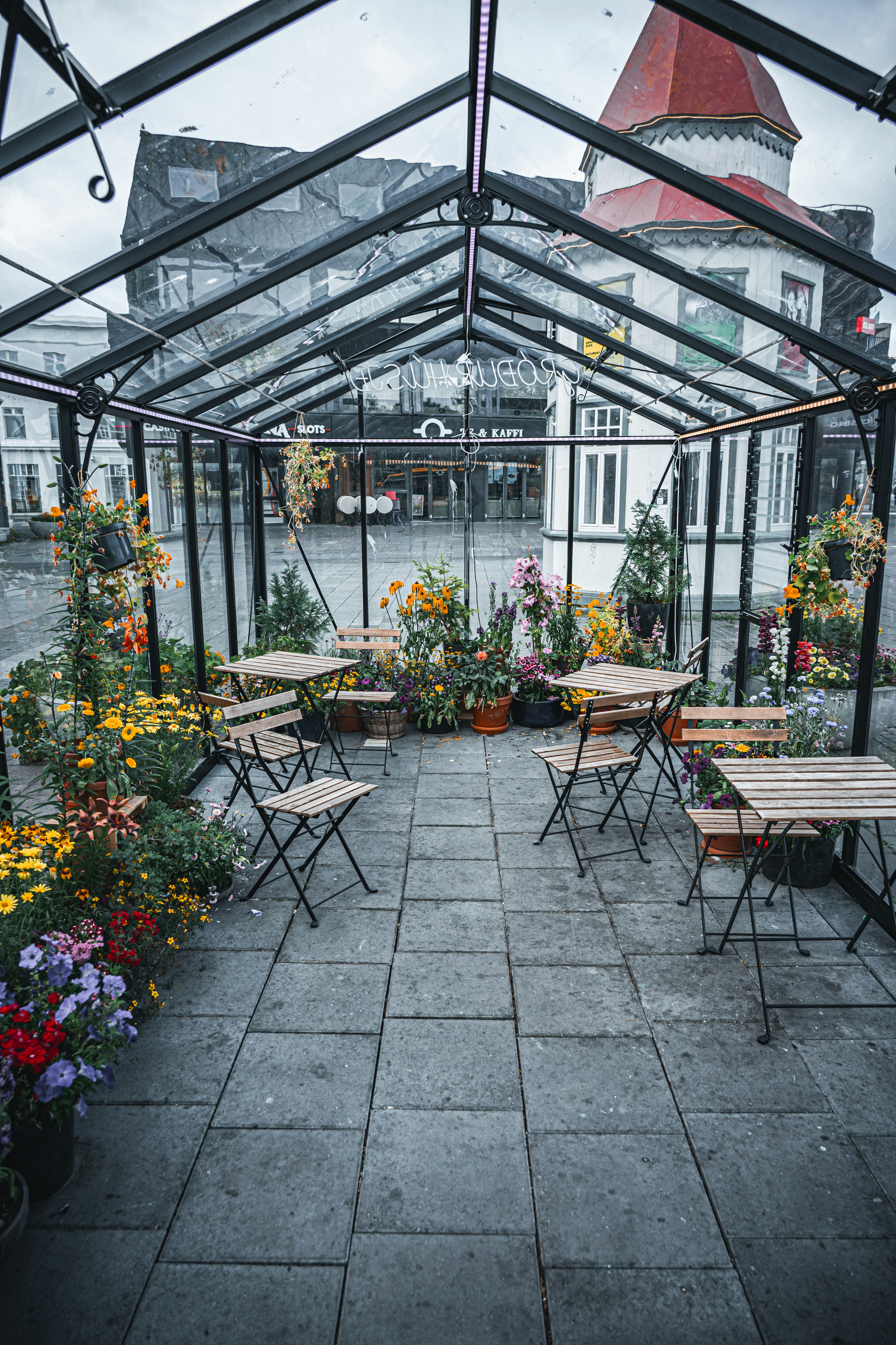 Glasshouse Café in Bloom: A Corridor of Pots Under a Glass Roof