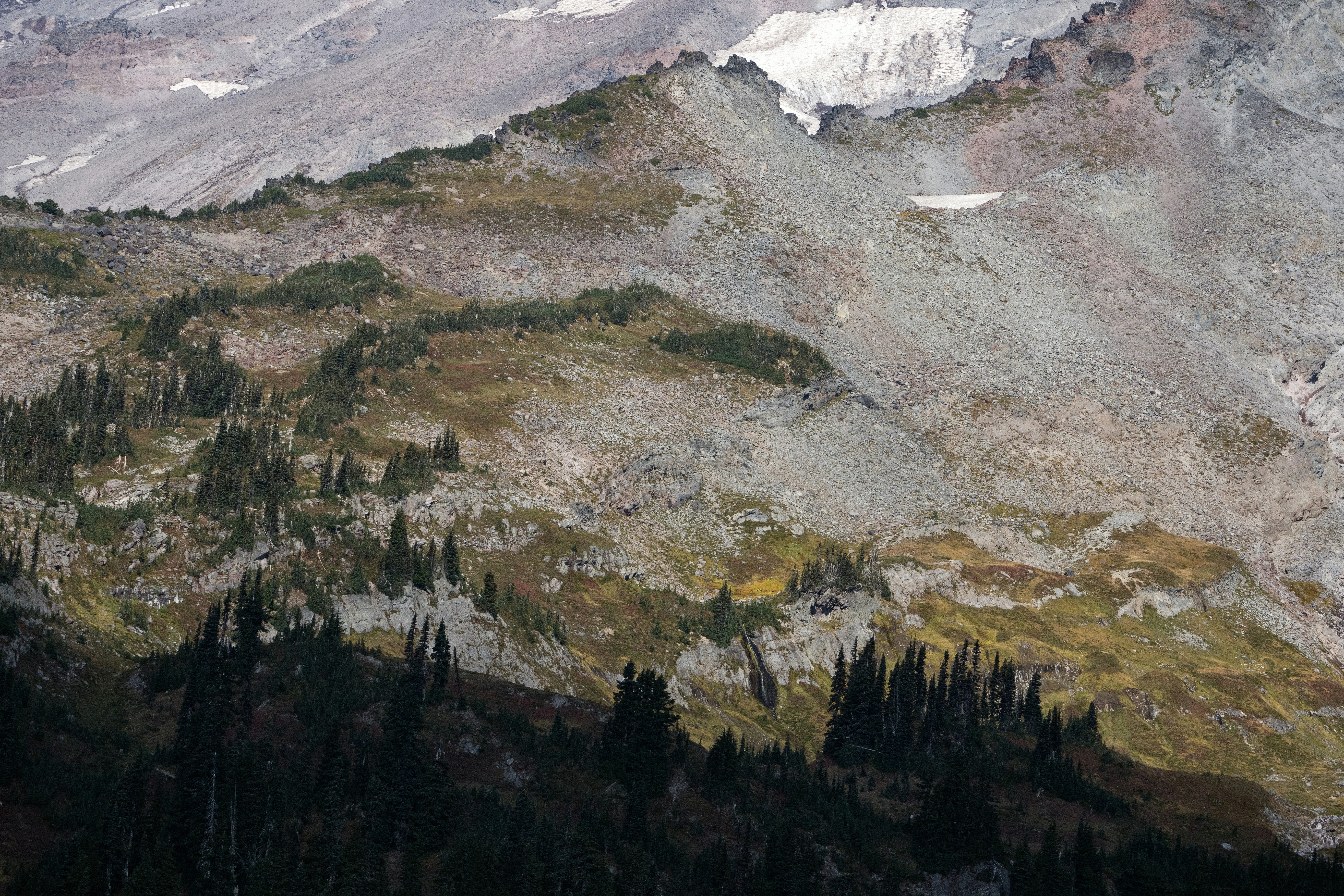 Nature's Textured Canvas: A Tapestry of Earth and Stone