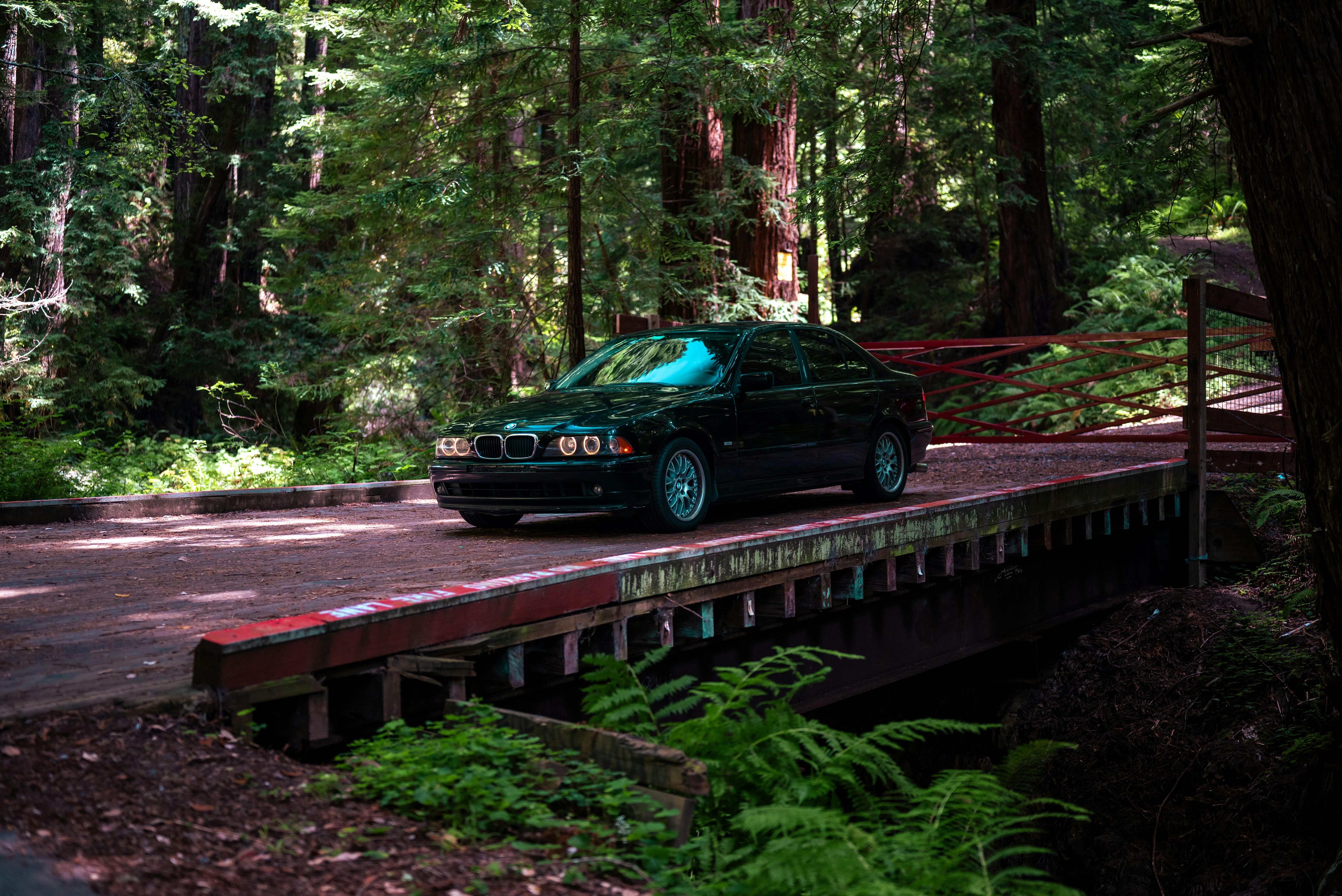 Dark-green sedan crossing a mossy forest bridge