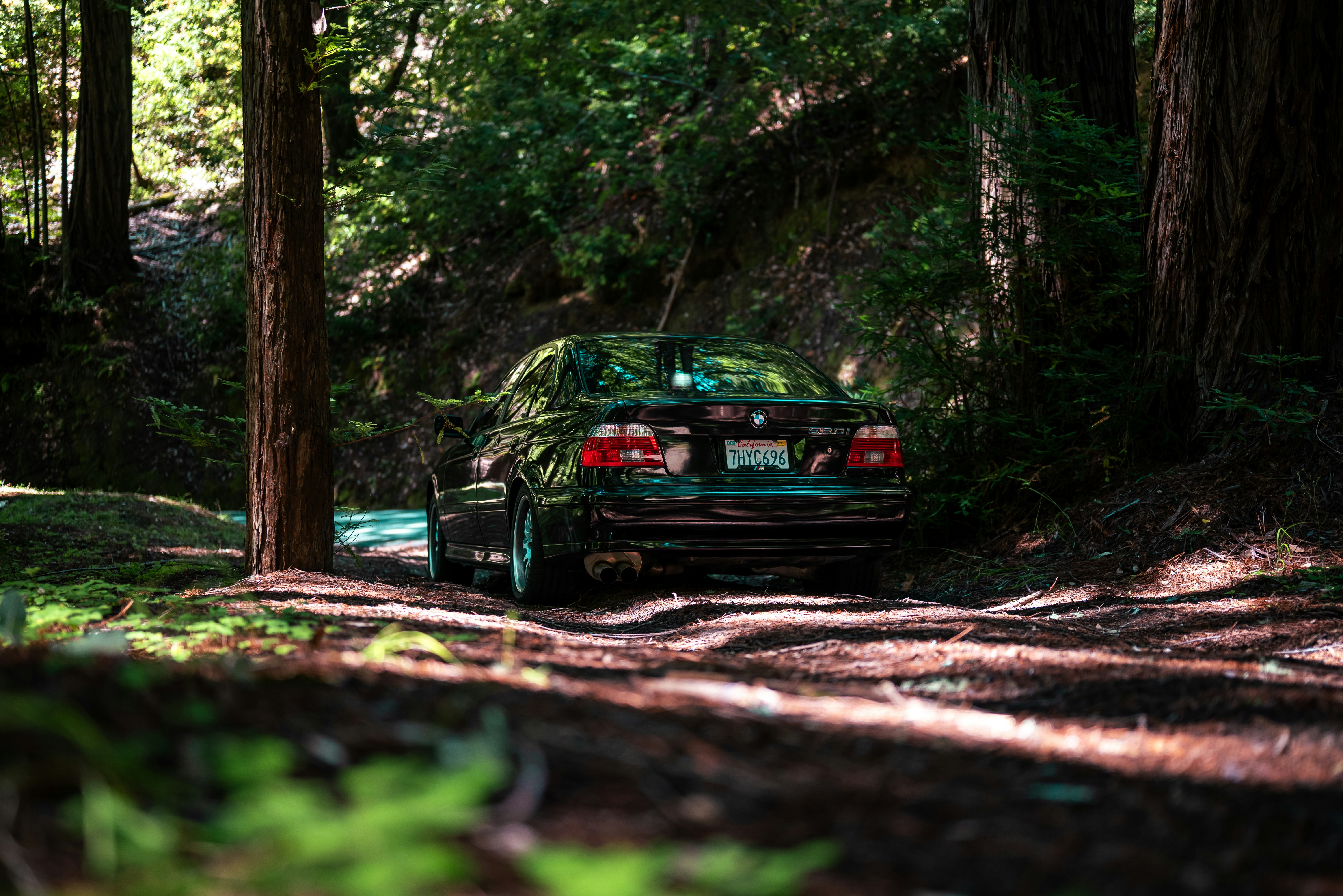 Forest‑Rimmed Sedan Resting Under Dappled Pines
