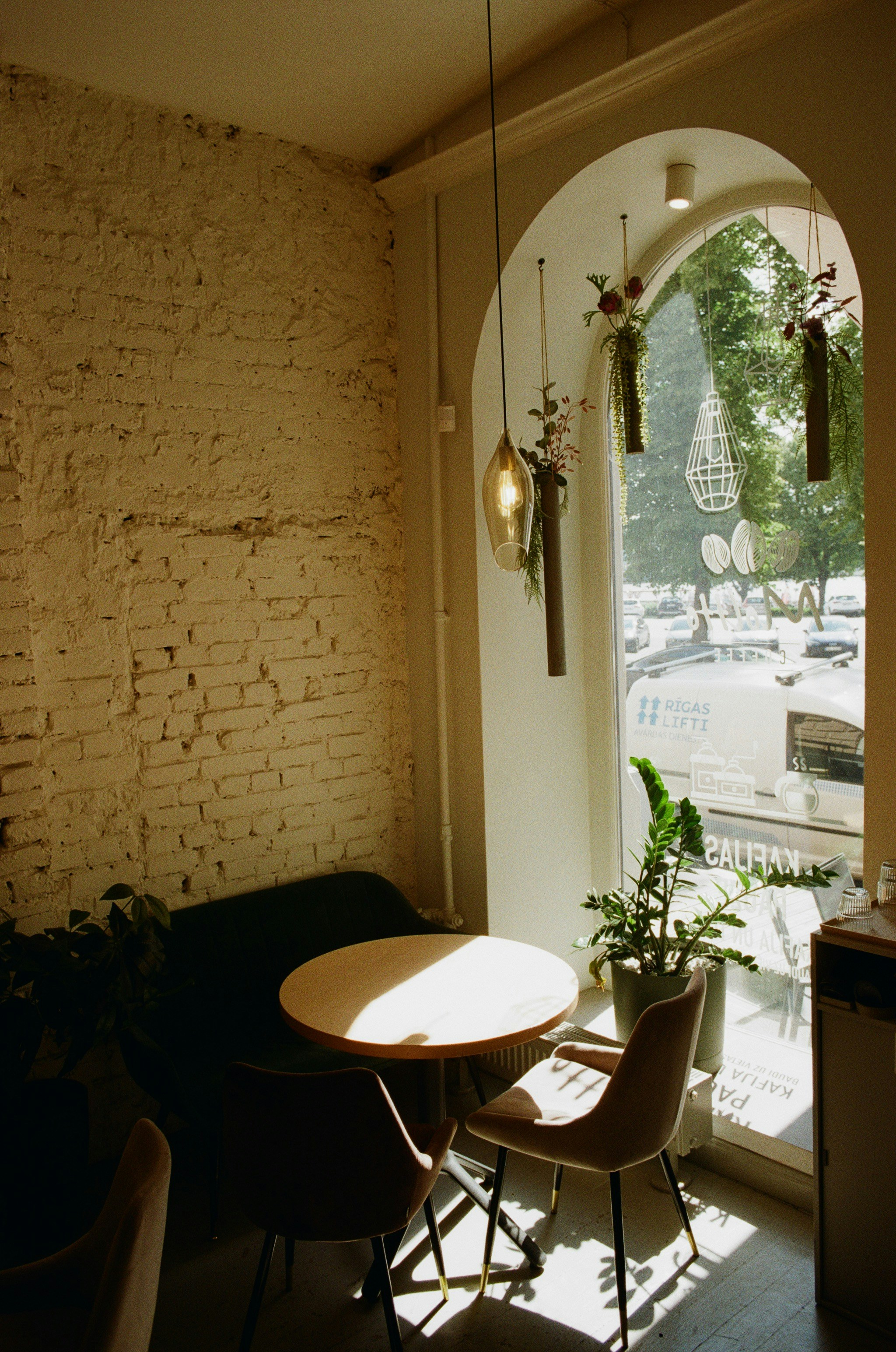 Cozy cafe corner with natural light and plants. photo – Free Street ...