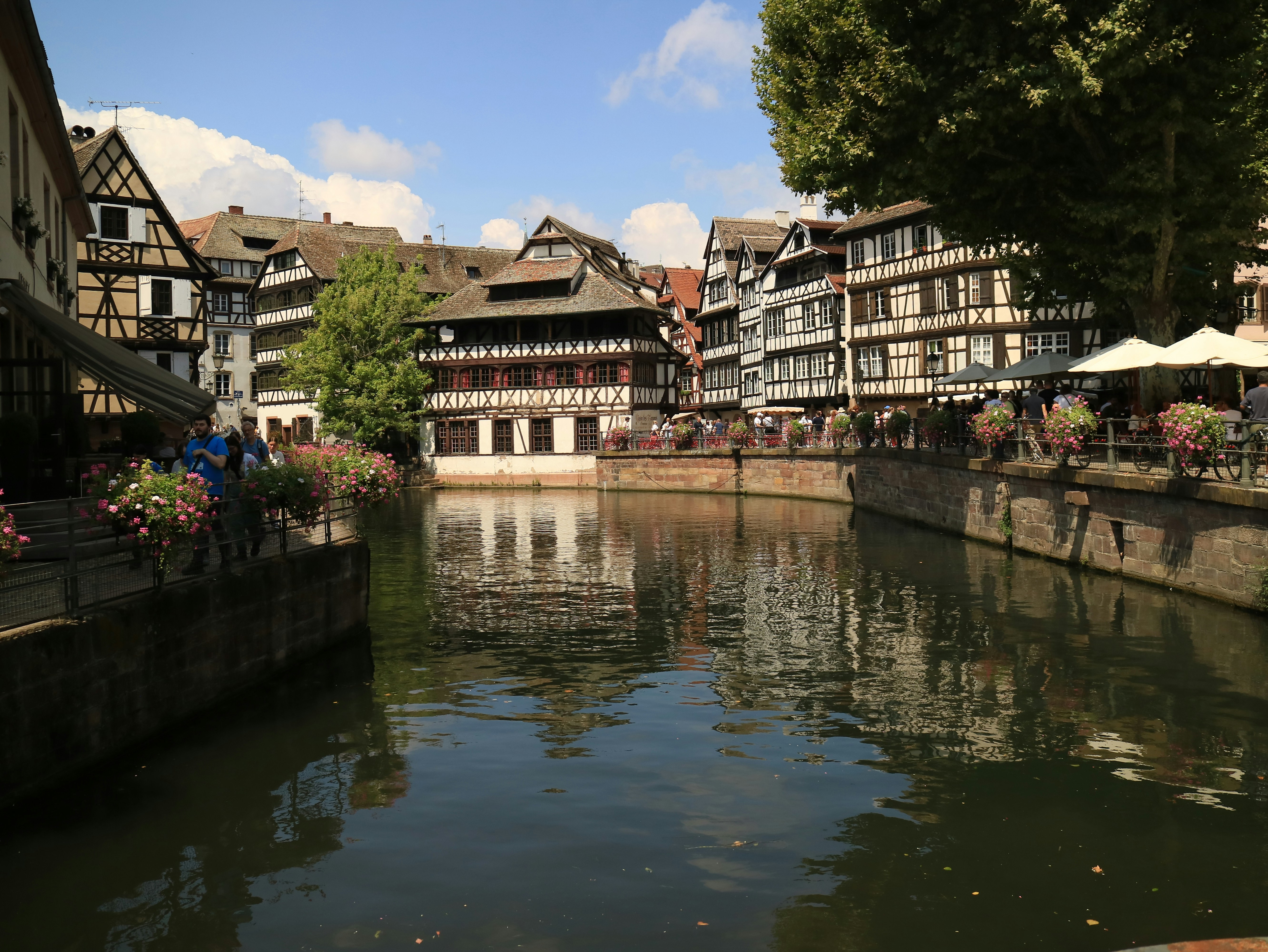 Charming half-timbered buildings line the serene waters of a canal in Strasbourg, showcasing the city's rich architectural heritage.