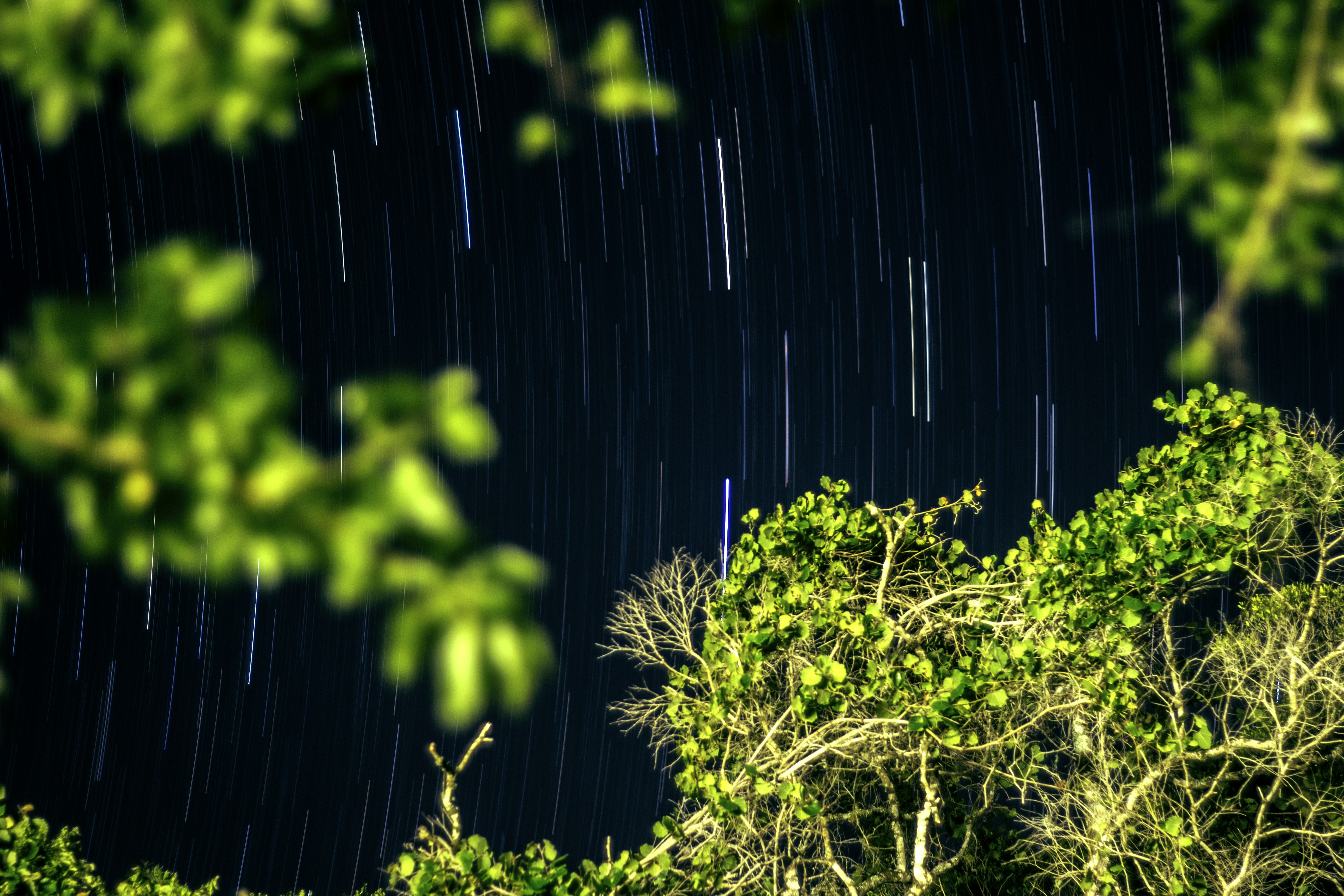 Whispers of the Cosmos: A Dance of Stars