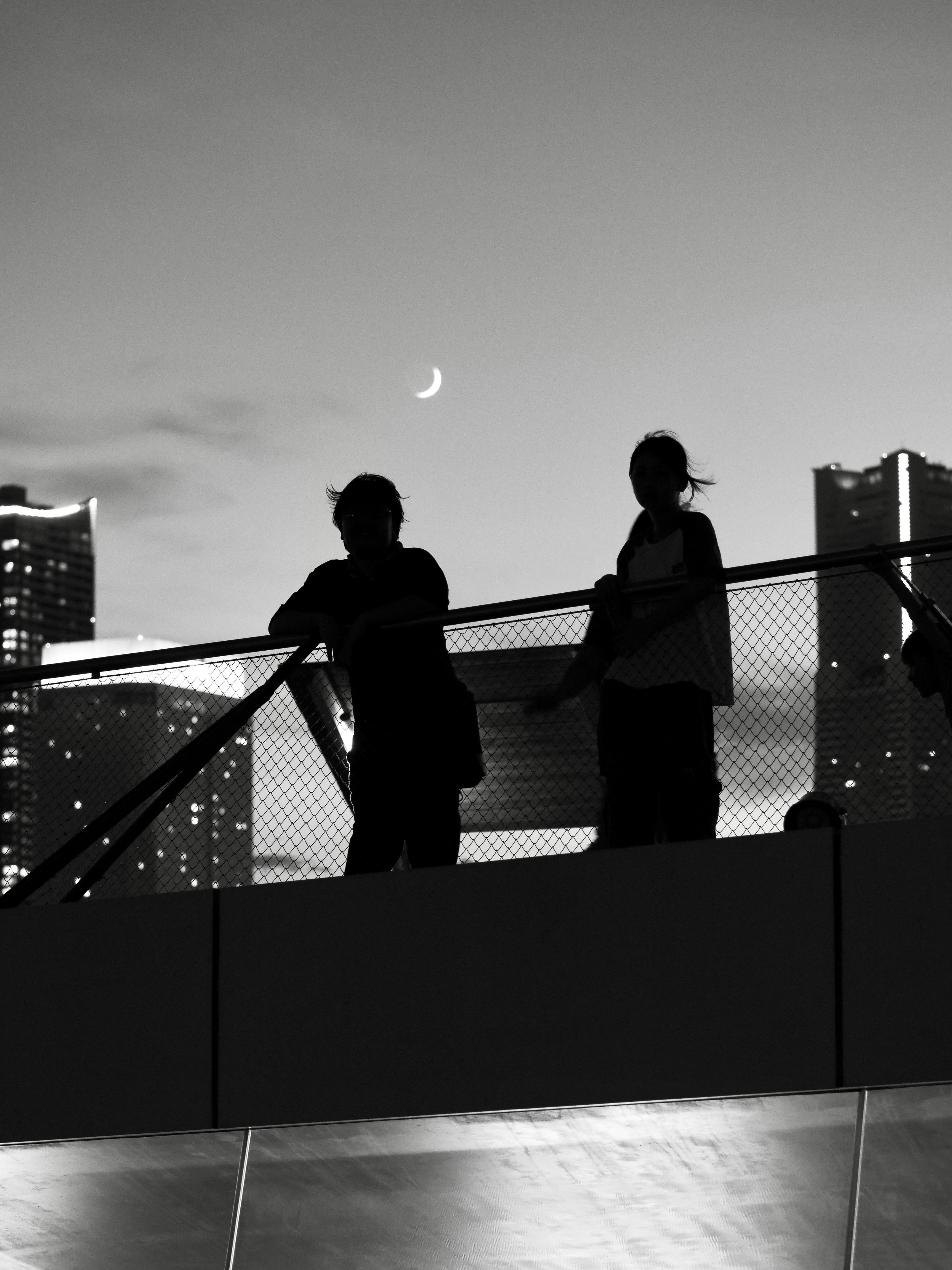 Silhouettes Against a Twilight Canvas