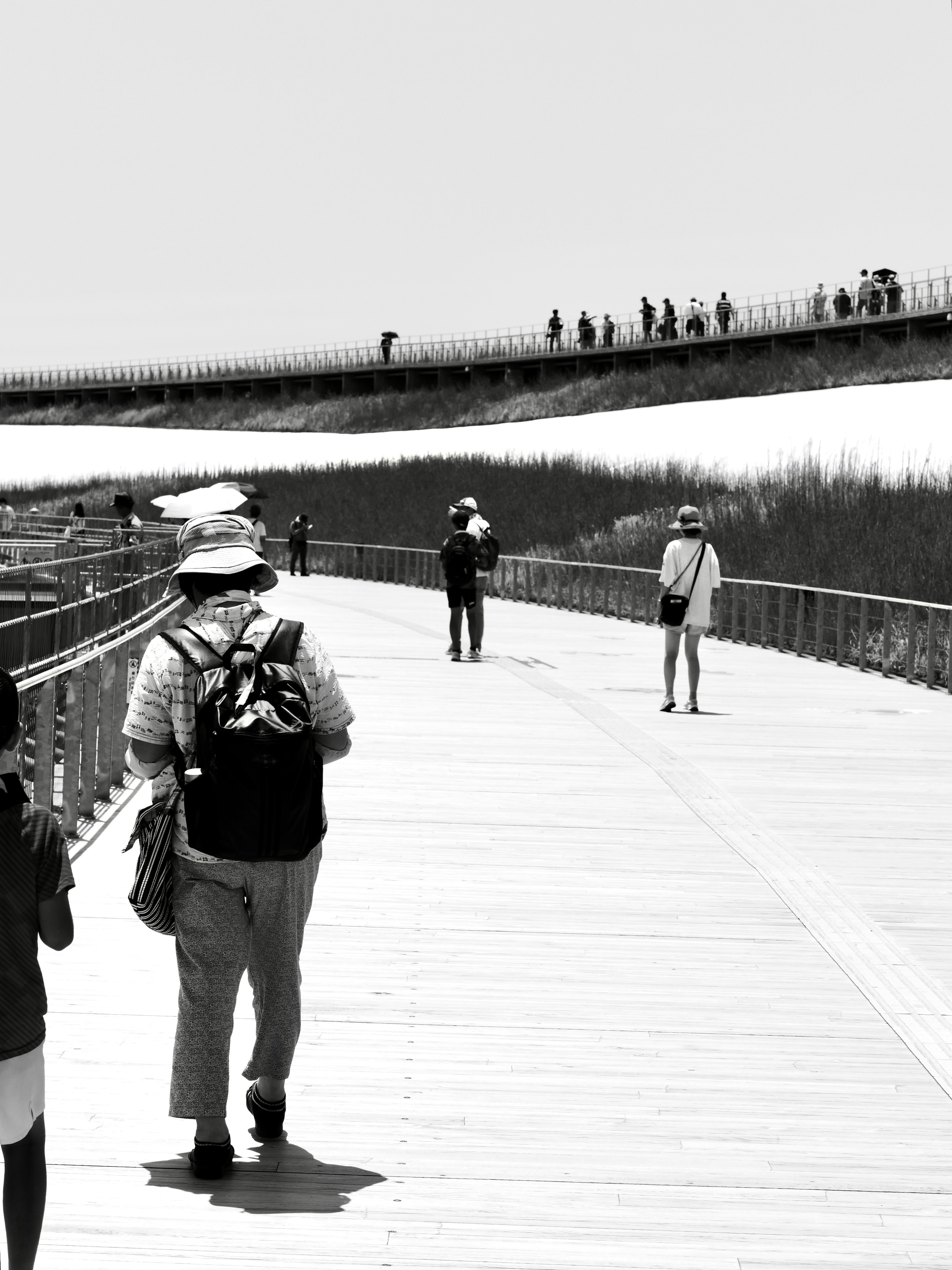 Wanderers on the Boardwalk: A Journey Through Time