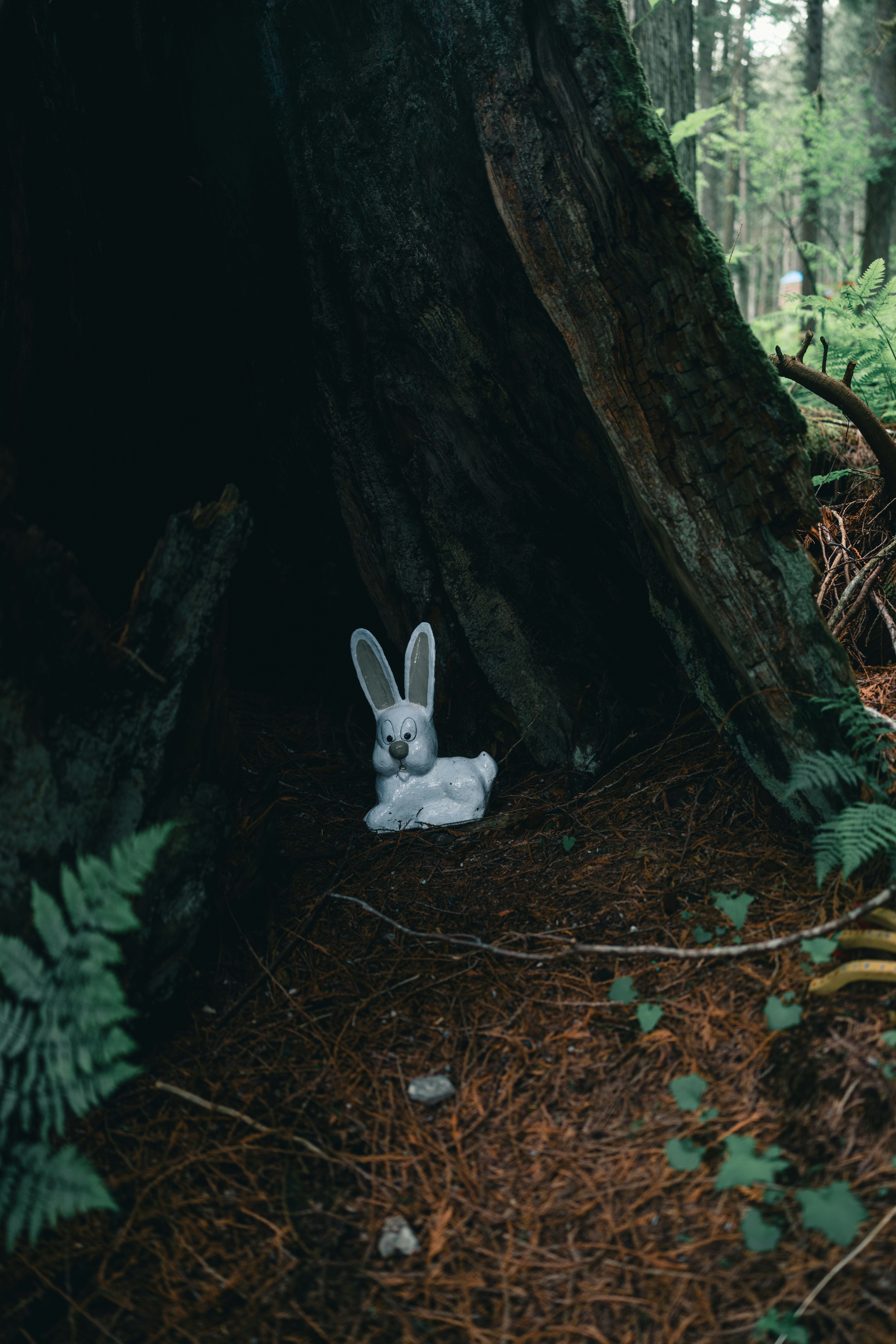 White rabbit statuette tucked between roots in dim forest hollow