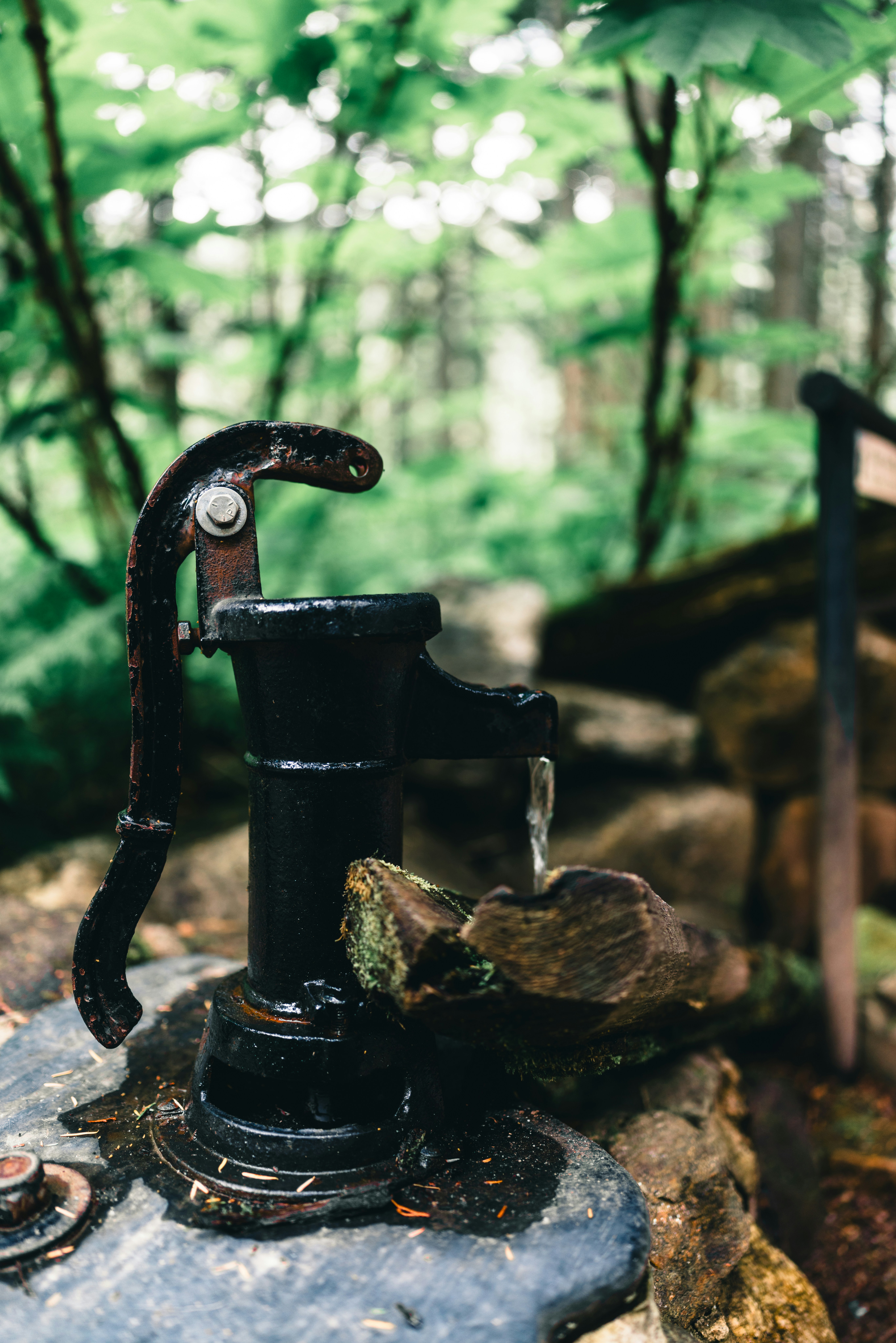 An antique water pump stands amidst lush greenery, with a gentle stream of water flowing from its spout. The surrounding foliage adds depth to this rustic scene.