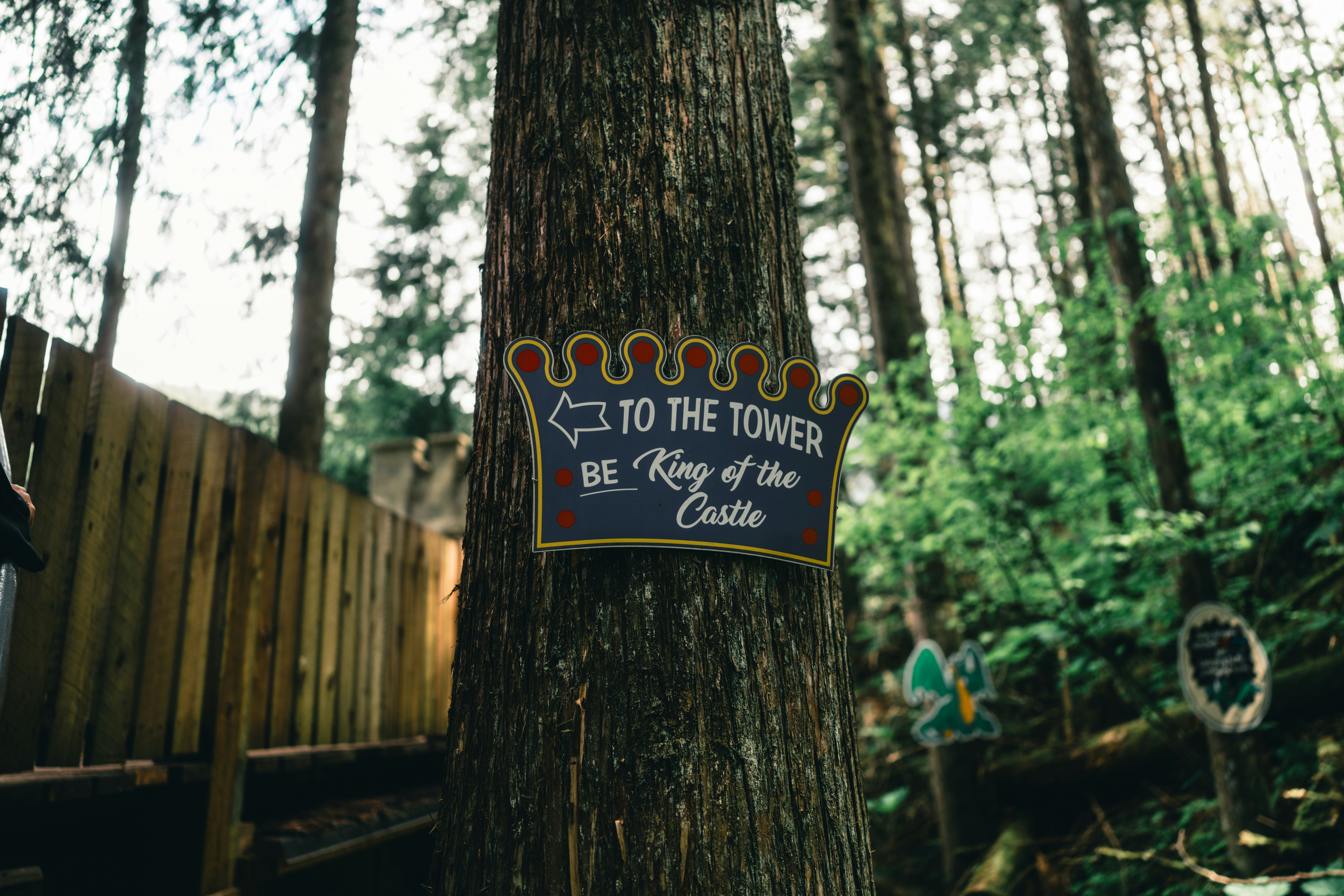 To the Tower: A Crowned Signpost in the Quiet Forest