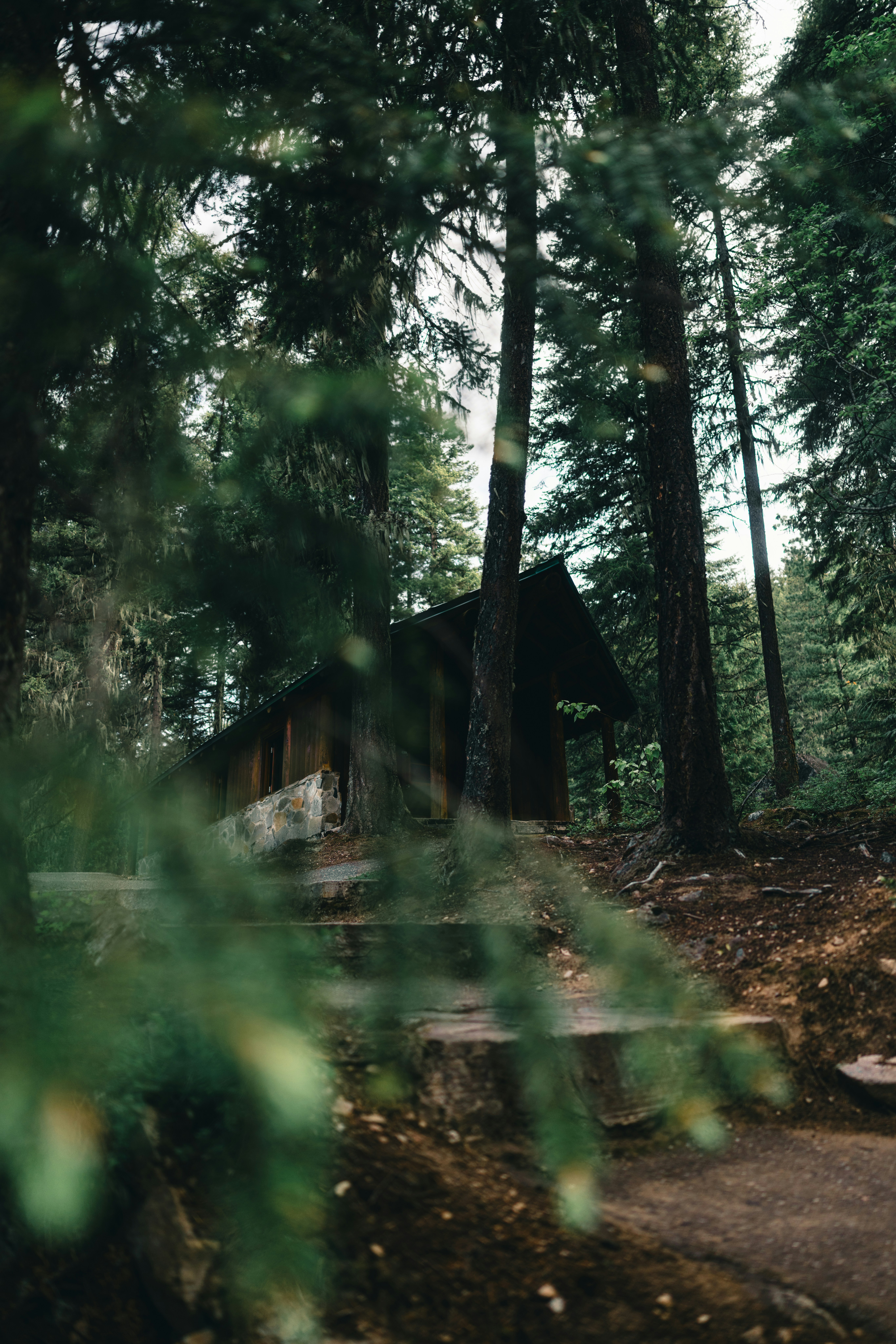 Wooden cabin nestled among towering trees, partially obscured by lush foliage. The scene evokes a sense of tranquility and seclusion.