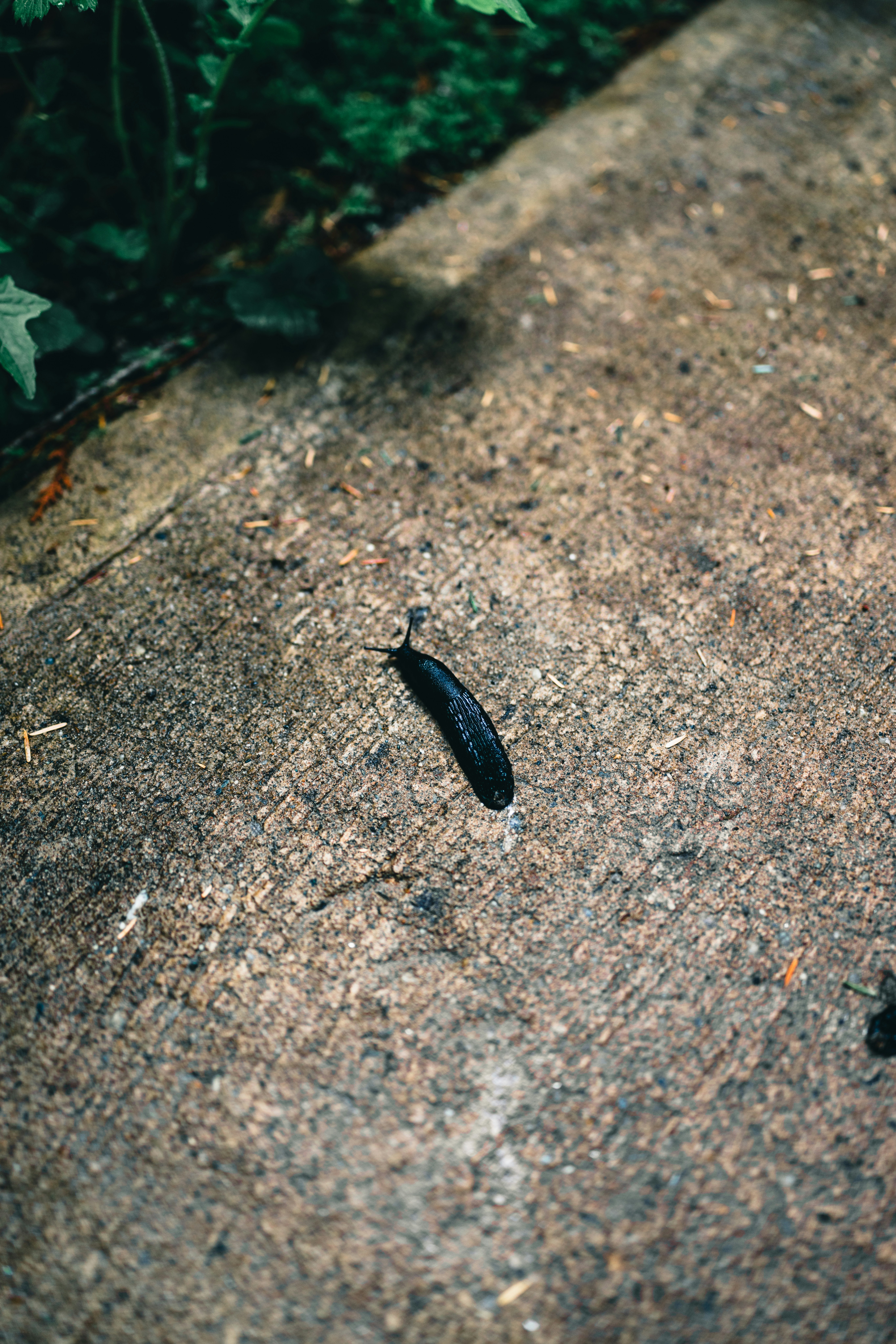 A Slow Journey on Concrete