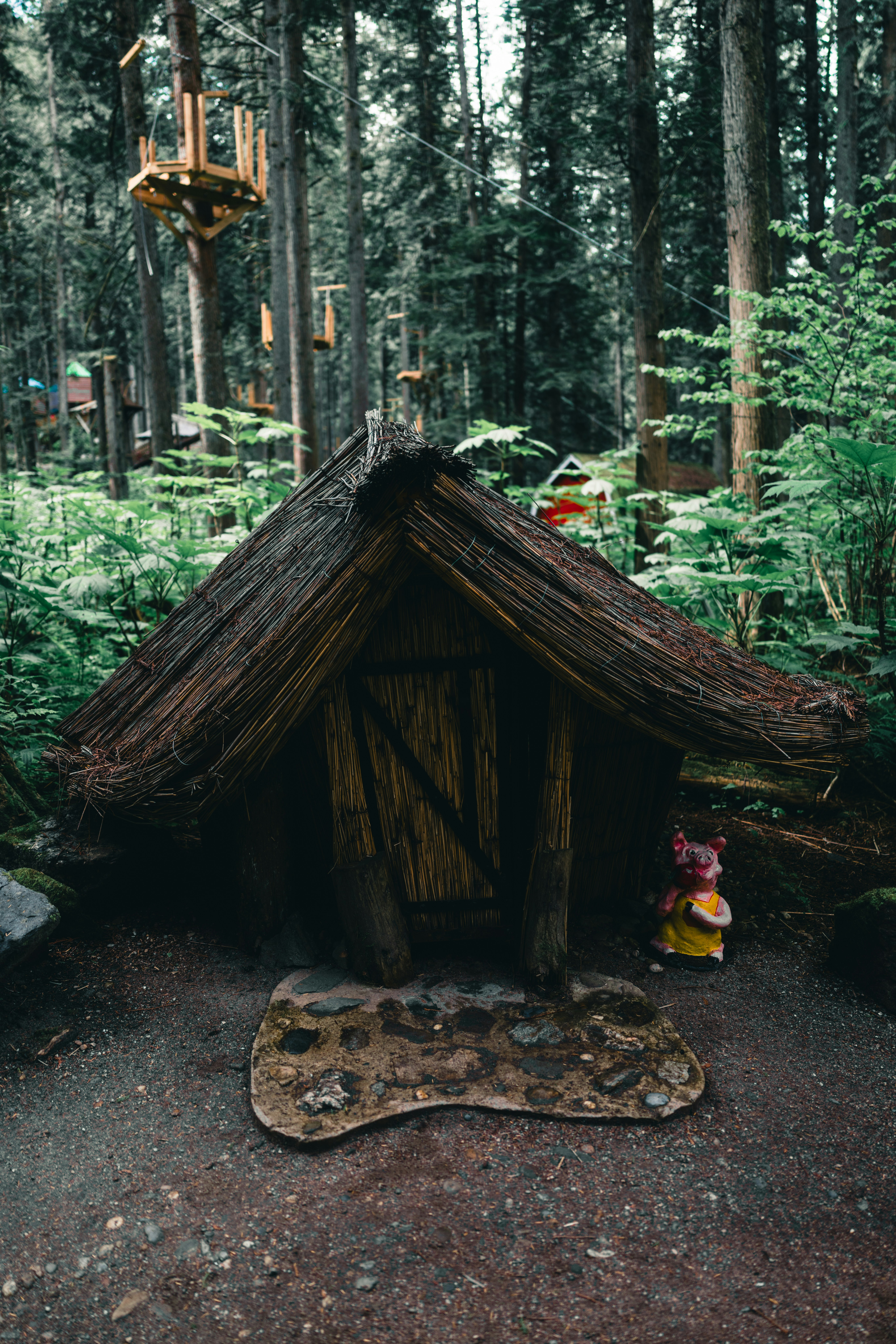 A quaint miniature house nestled among lush greenery in a forest, accompanied by a small figurine. The scene evokes a sense of enchantment and playfulness.