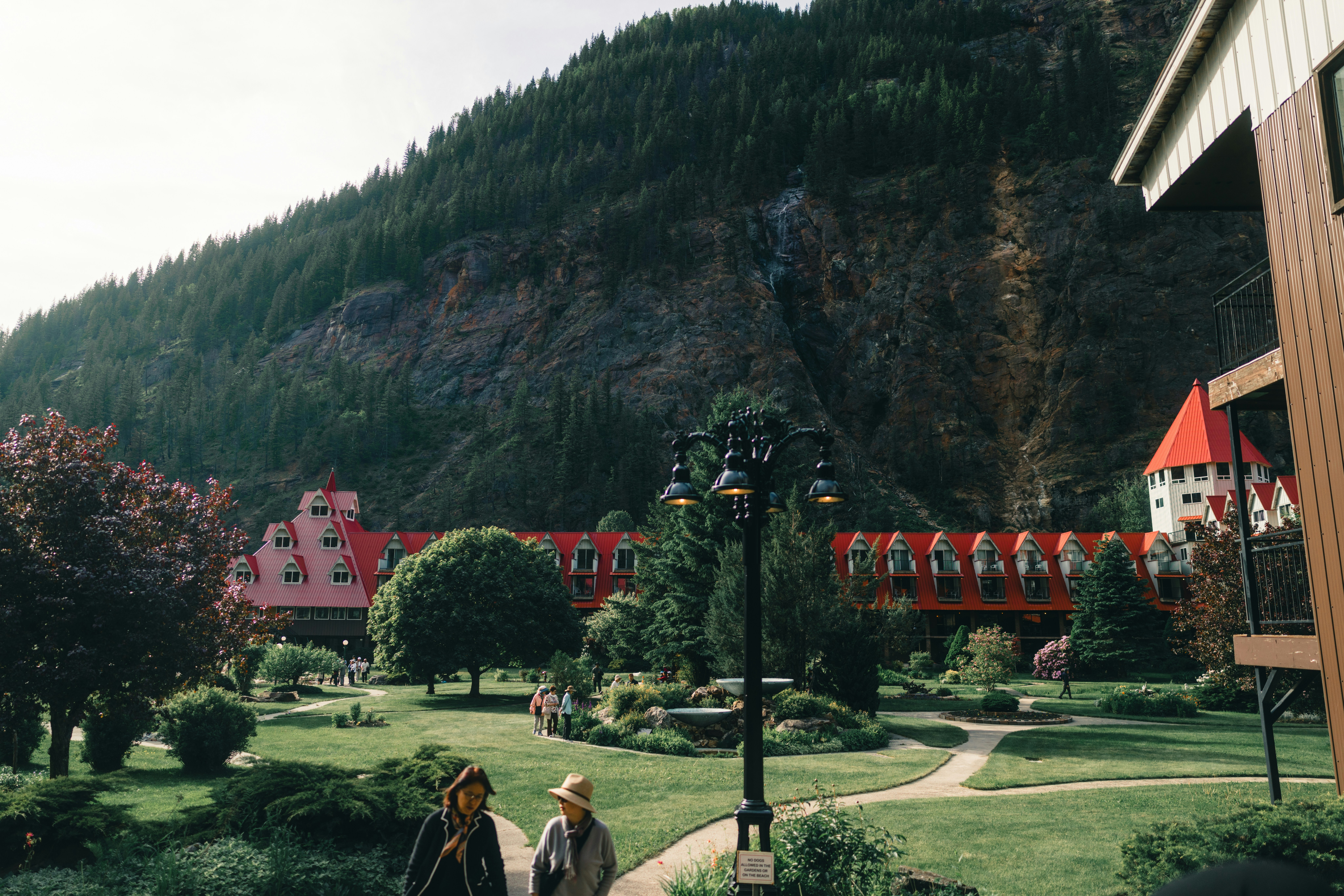 We need more road trips to Revelstoke