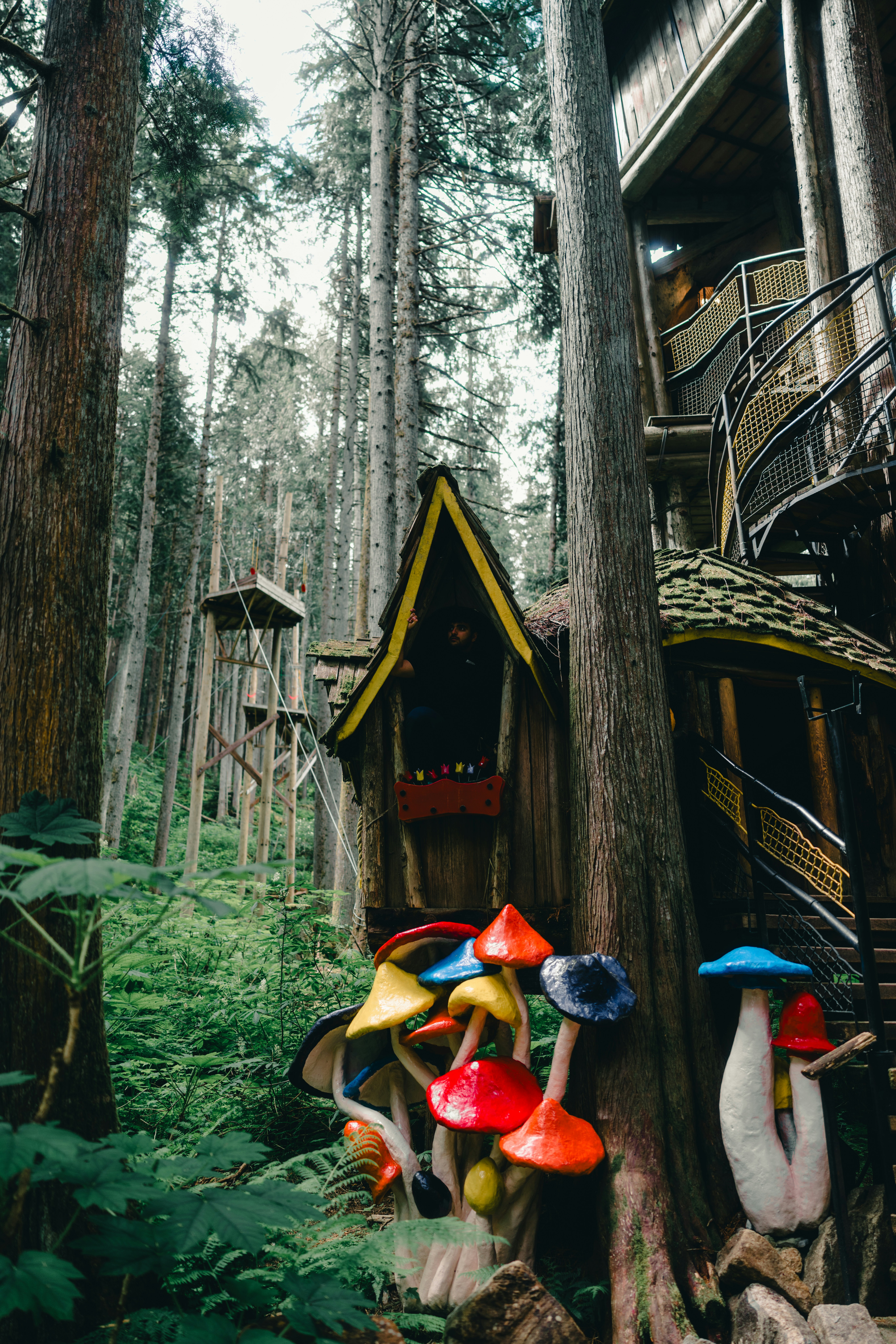 Colorful oversized mushrooms near a whimsical treehouse nestled among tall trees in a lush forest.