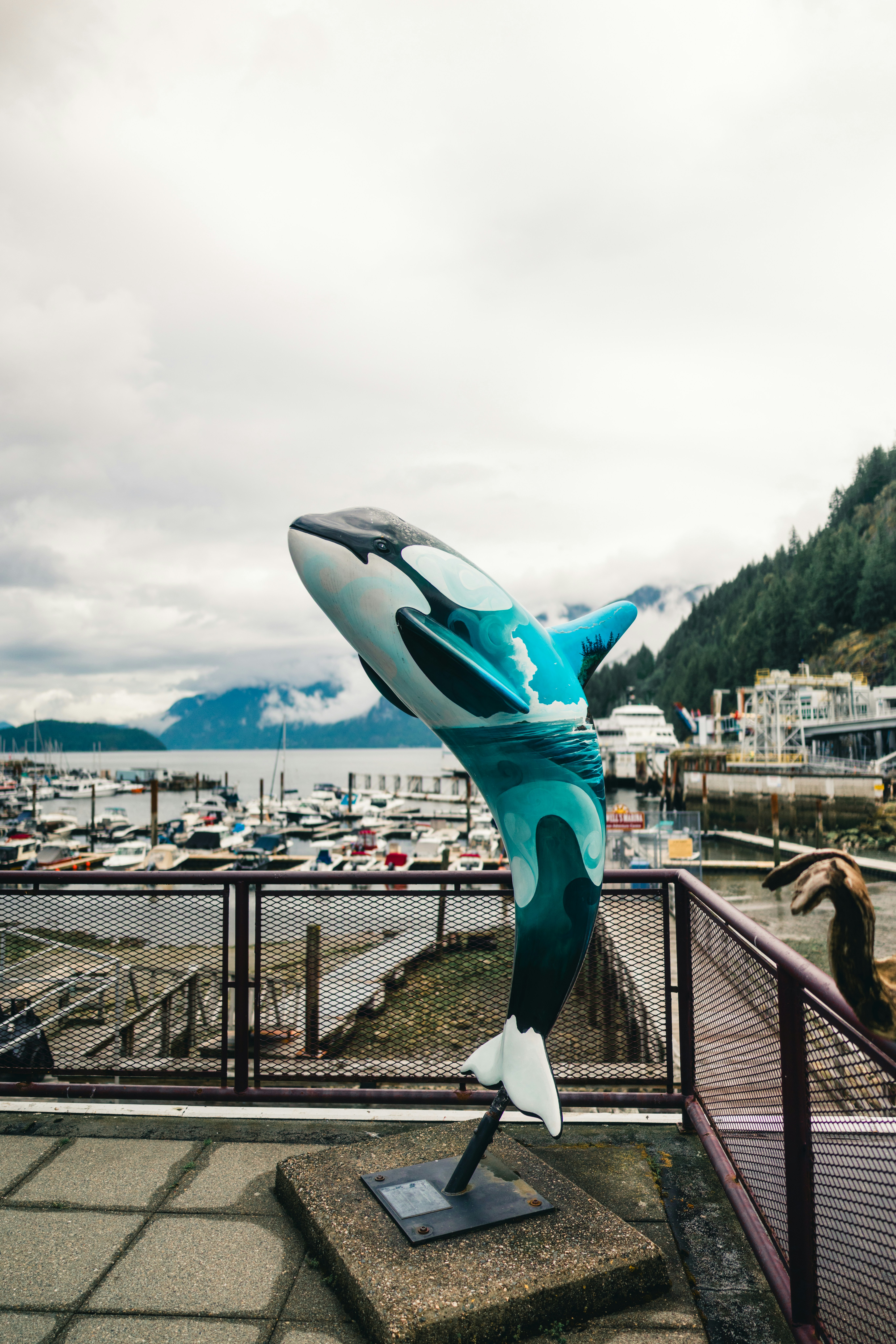 Greenland Orca monument leaning toward the harbor breeze