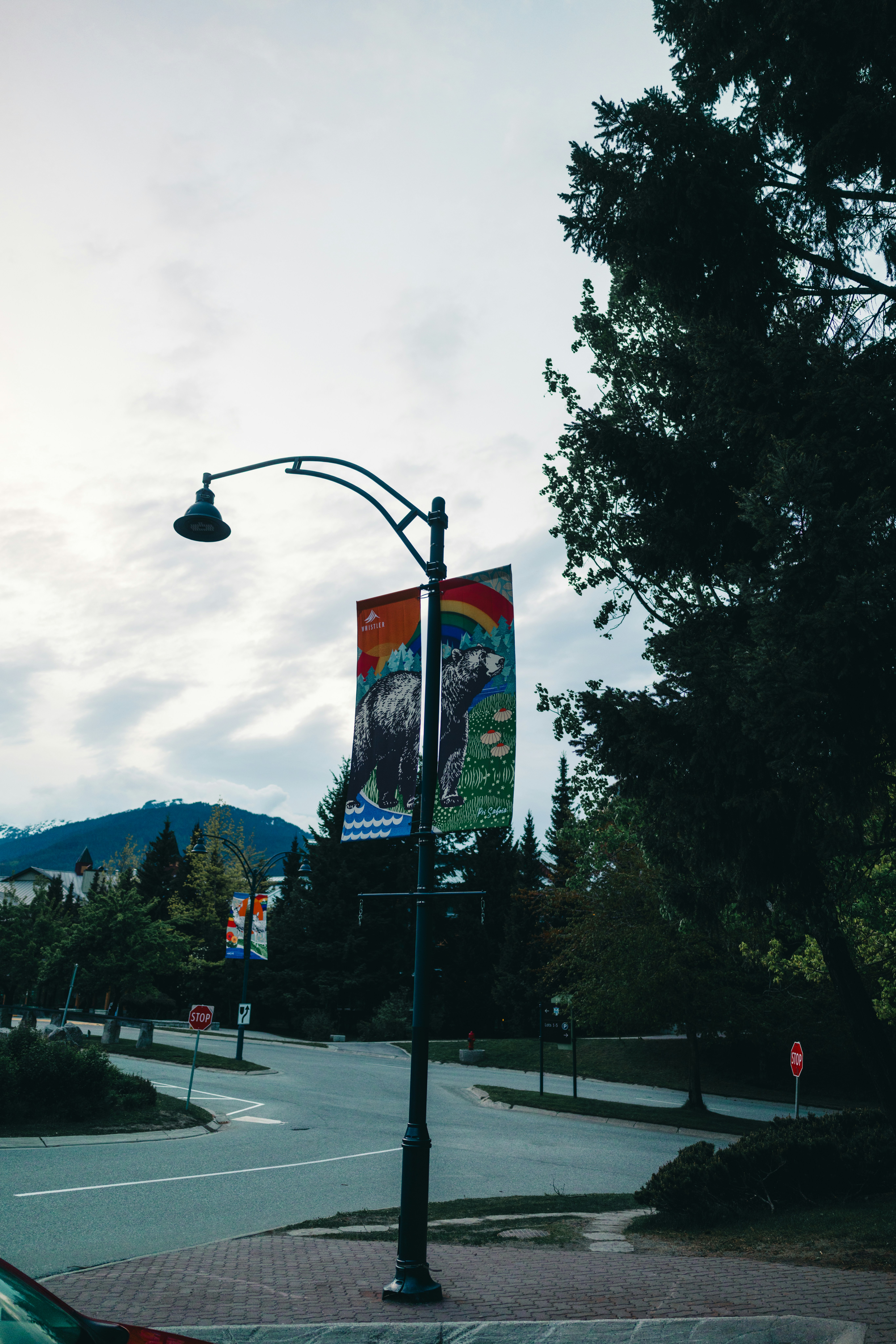 Bear Banner on a Streetlamp Framing a Quiet Mountain Street