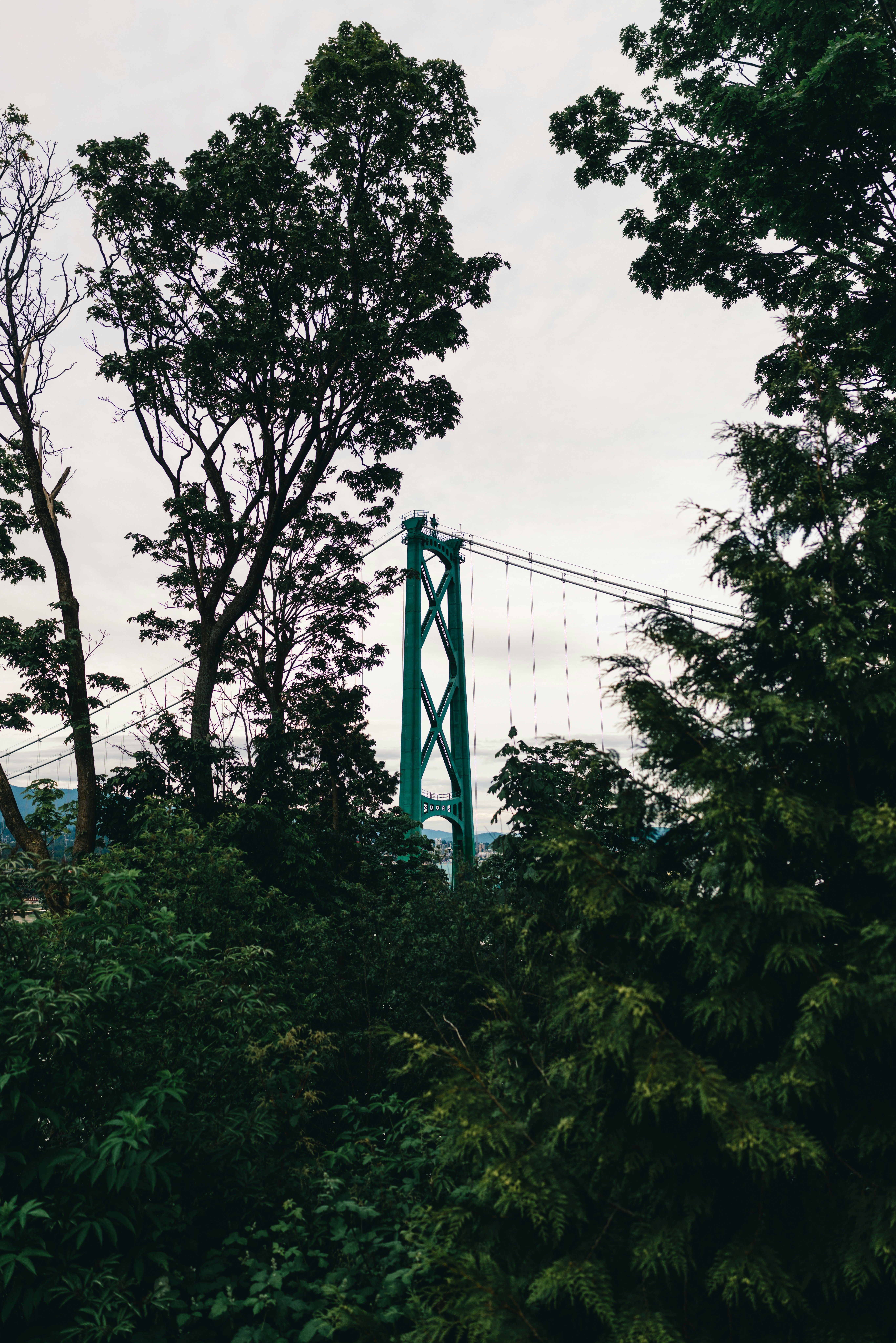 Teal Tower Amid Quiet Canopy