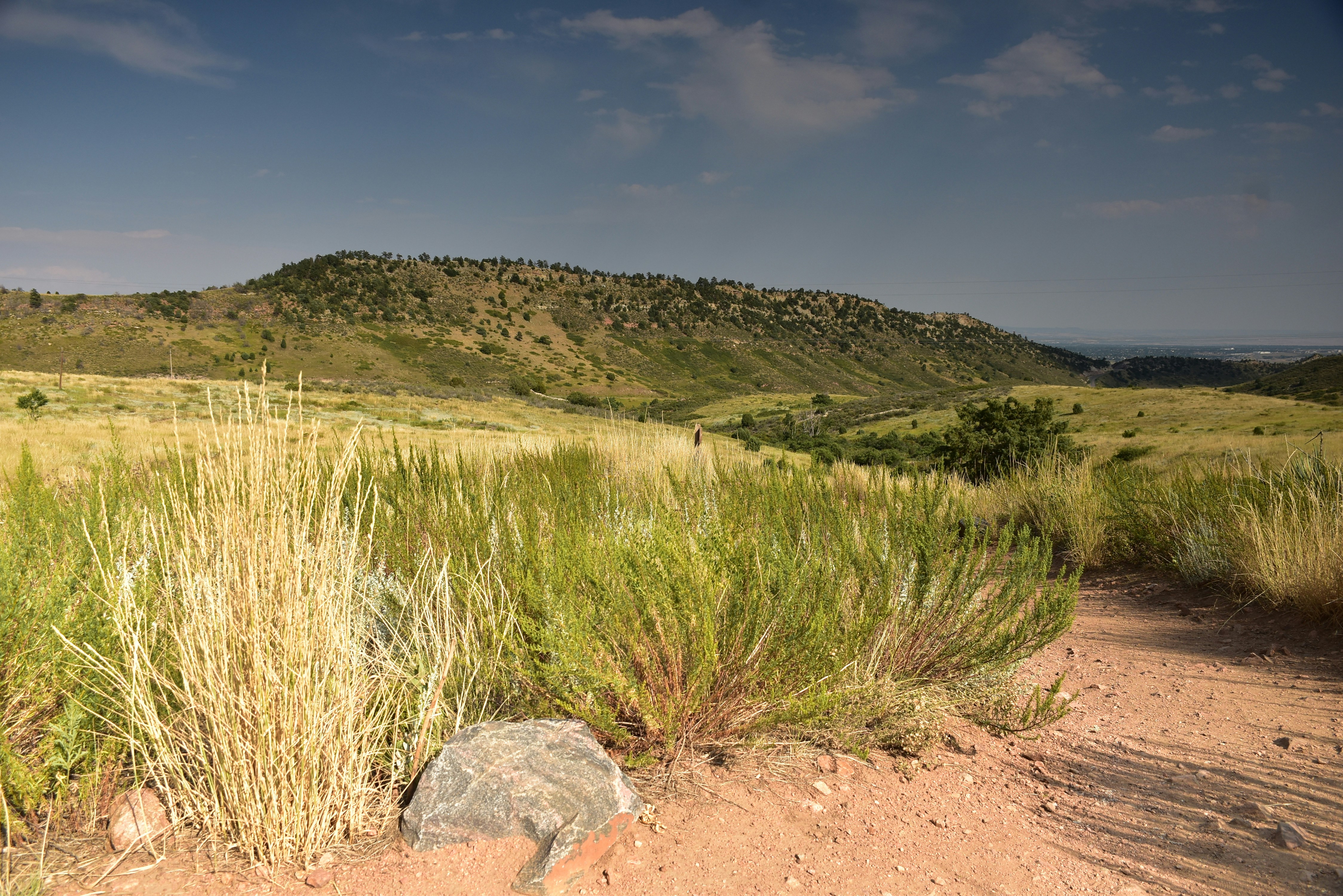 Vast high plains with golden grasses and a rocky path leading towards rolling hills under a clear sky.