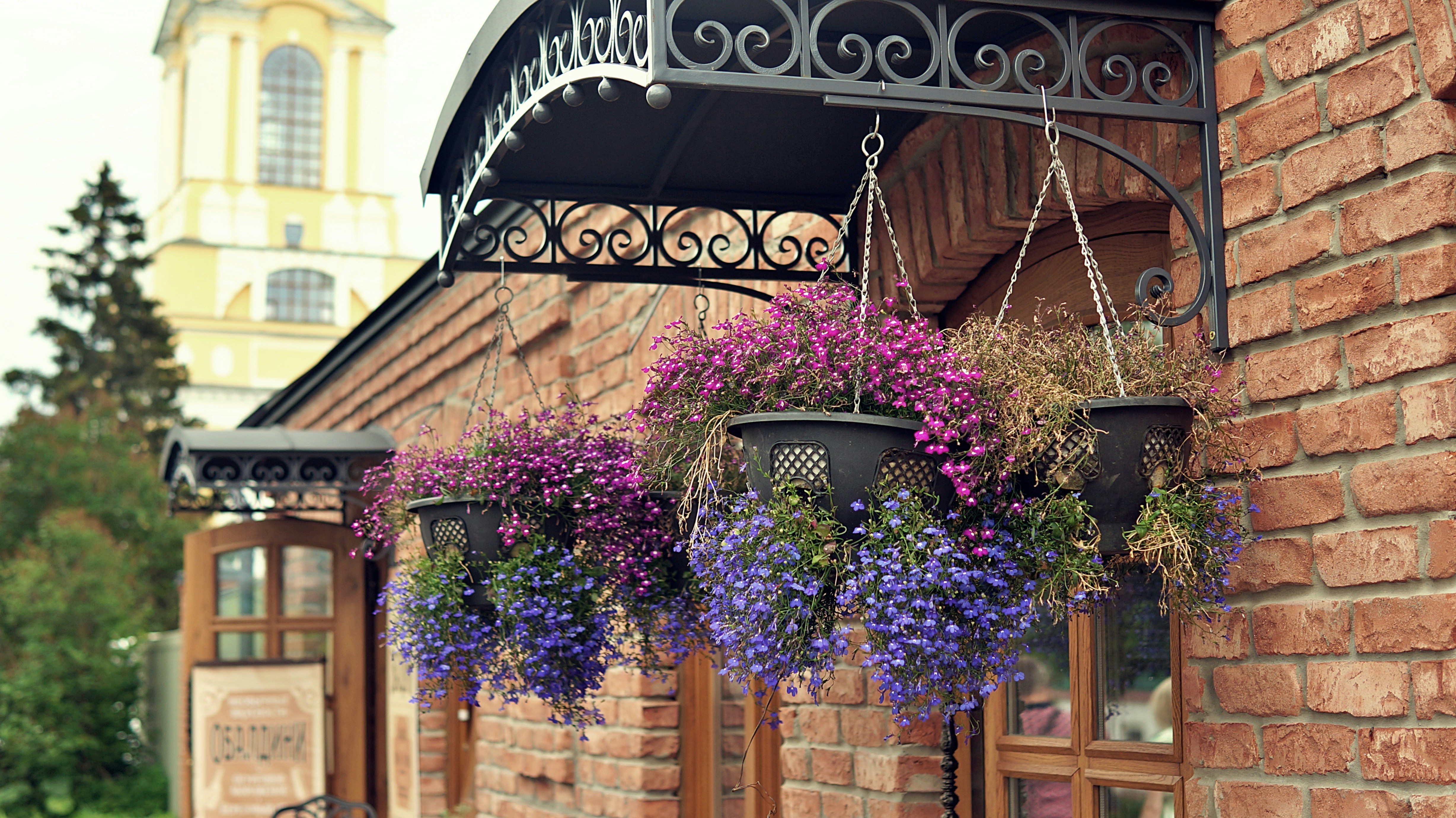 Floral Elegance Adorning Rustic Walls