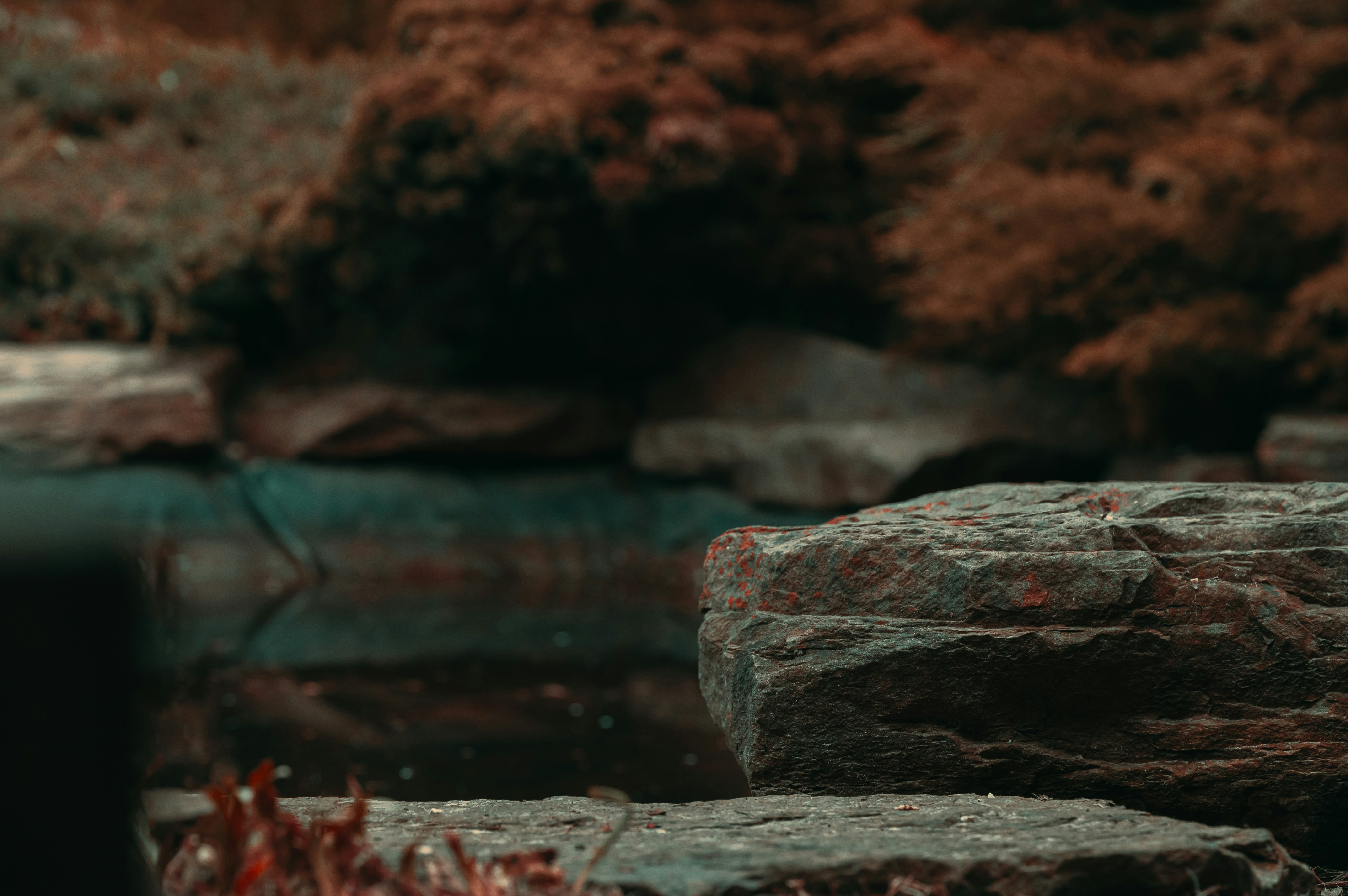 Textured rocks framing a tranquil pond surrounded by lush foliage, creating a peaceful natural scene.