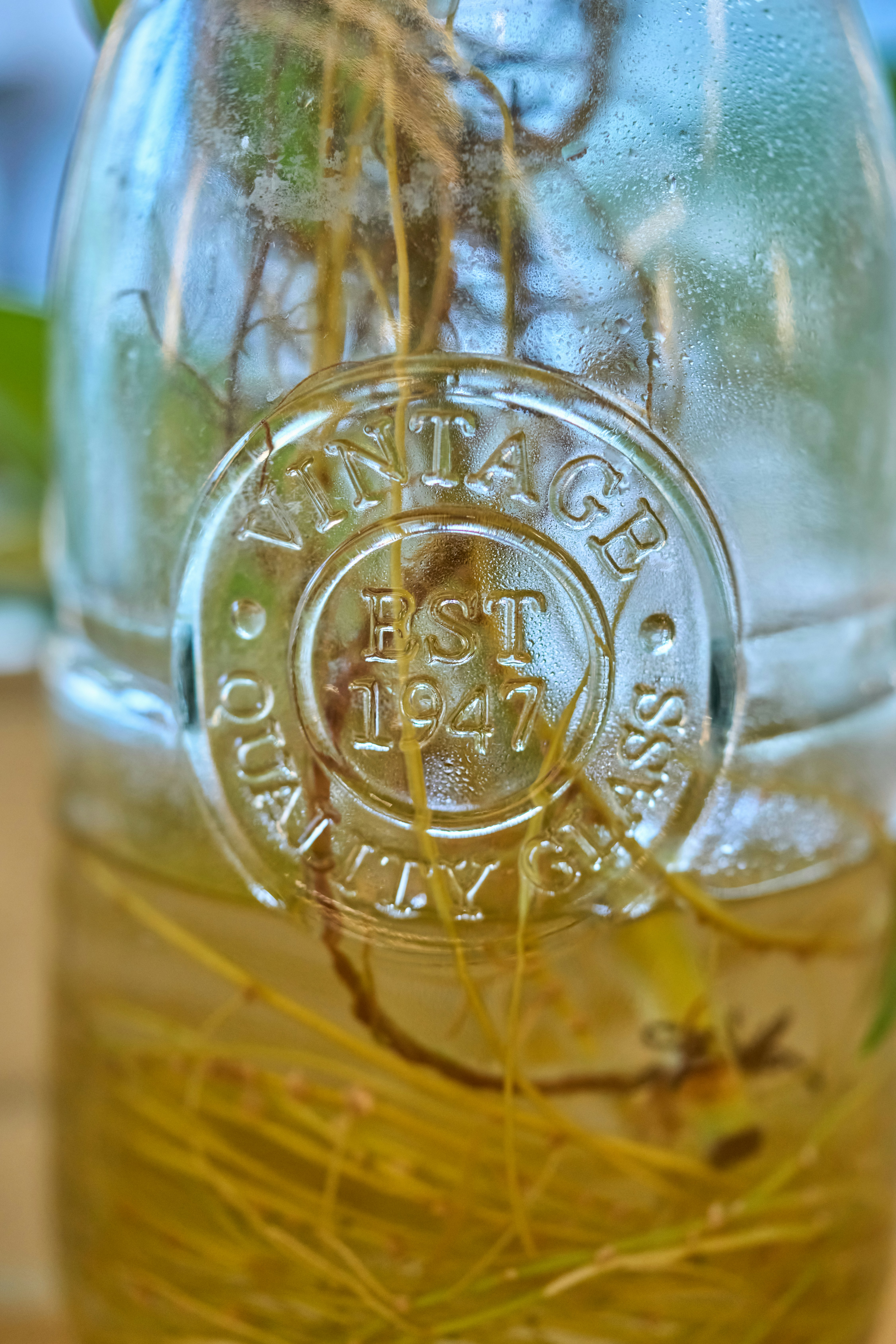 Timeless Essence in Glass