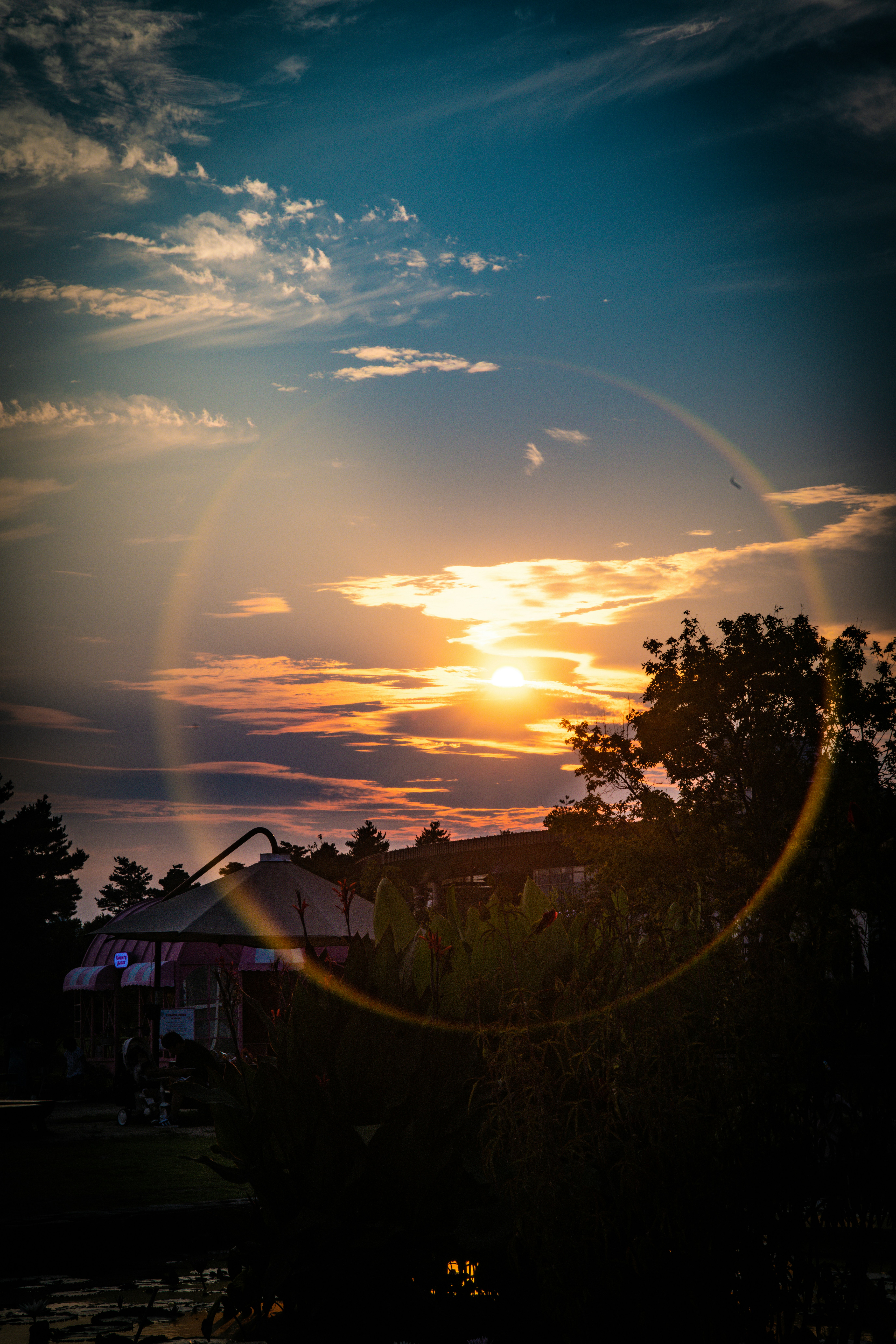 Haloed Sunset Over a Quiet Garden