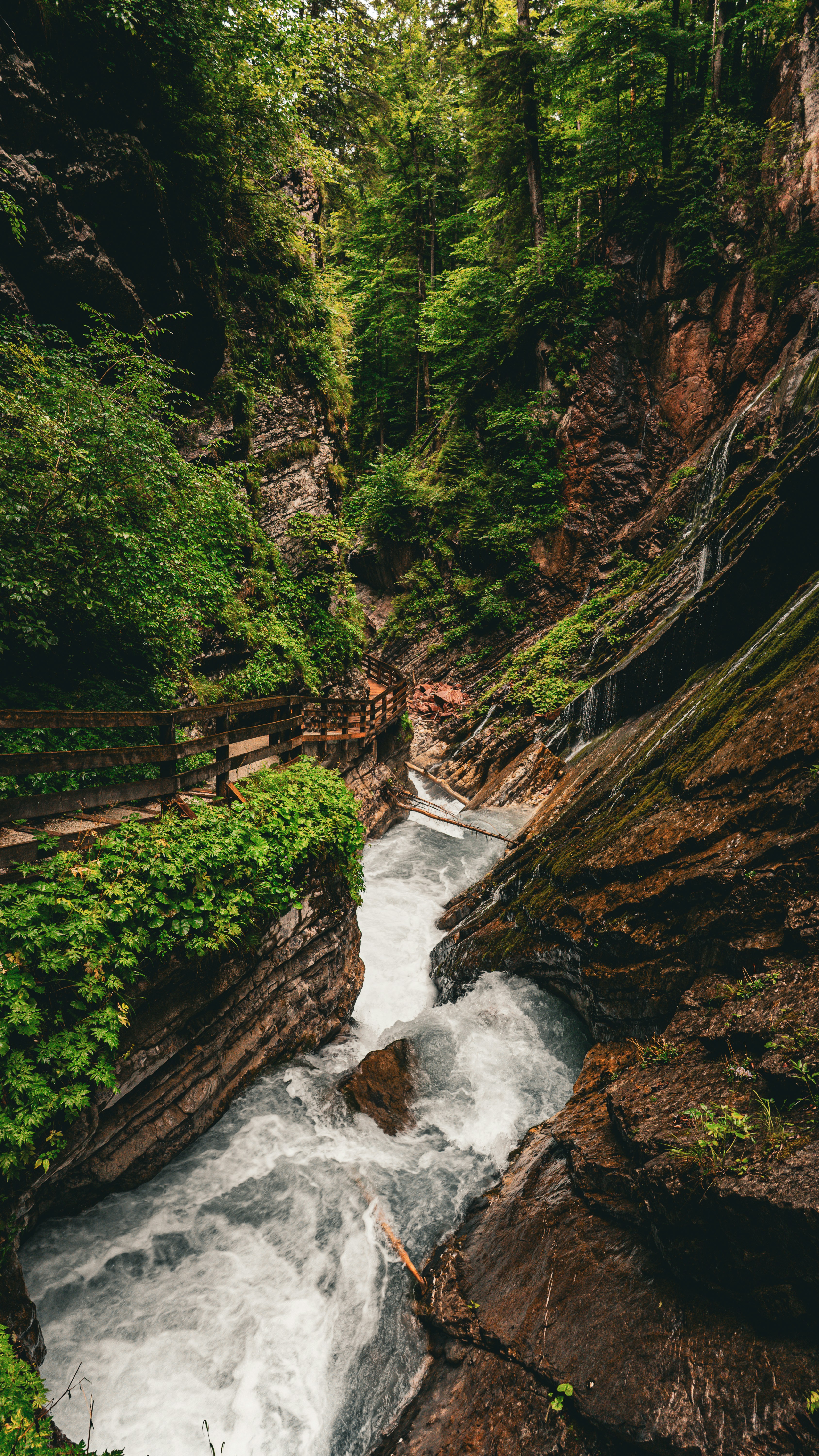 A river rushes through a lush, rocky gorge.