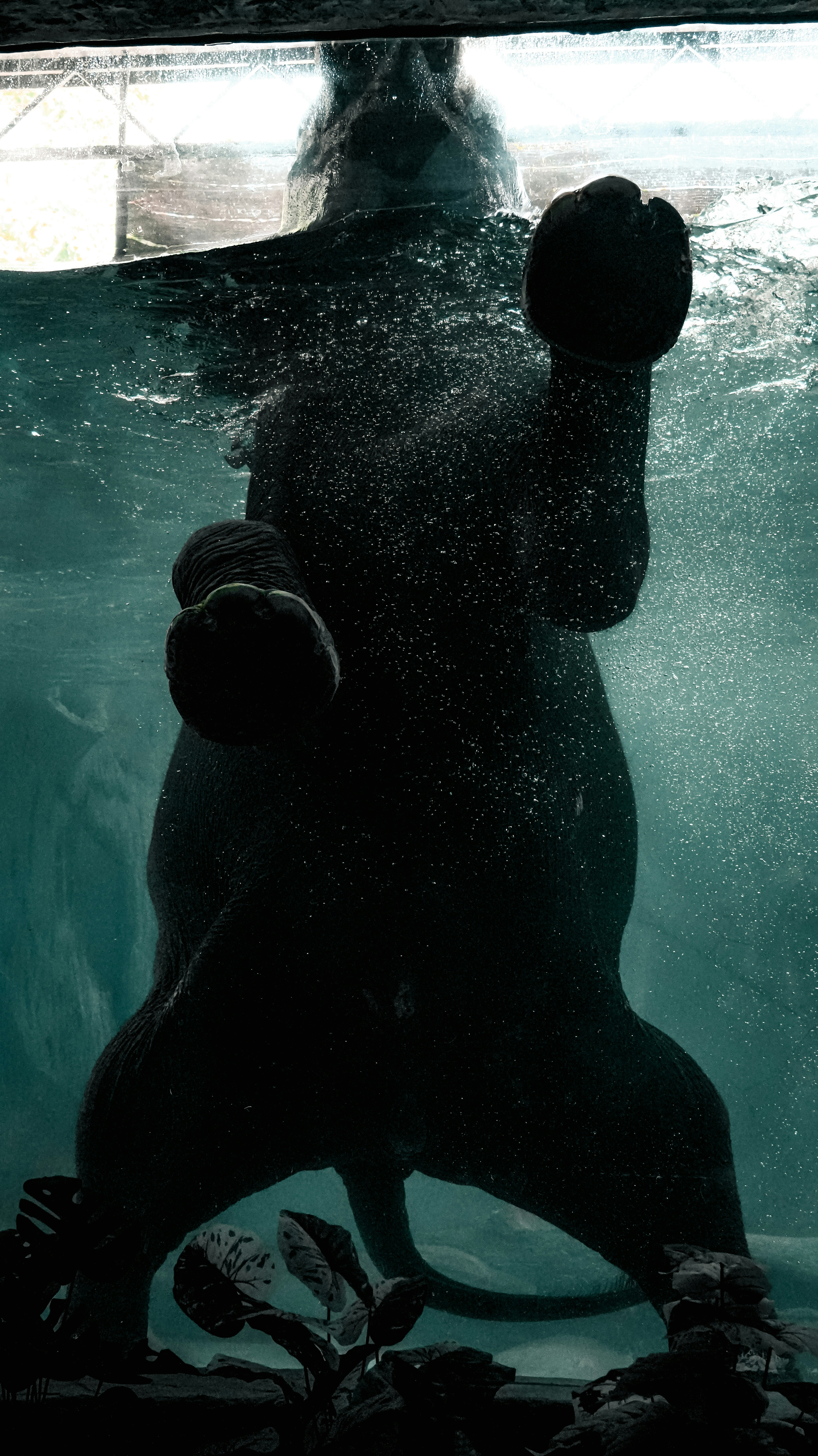 A Glimpse Beneath the Surface: The Power of Nature