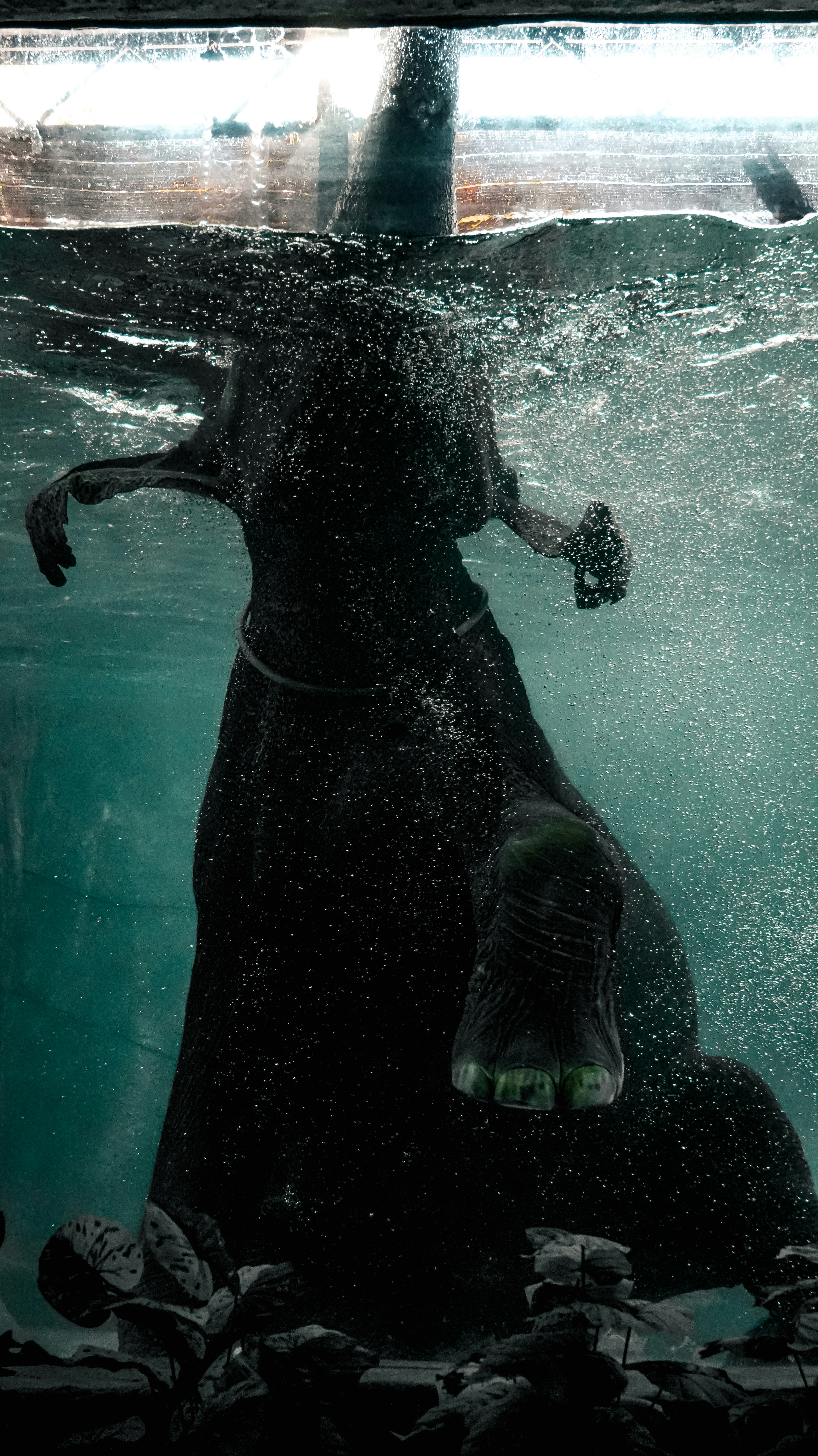 Mysteries Beneath the Surface