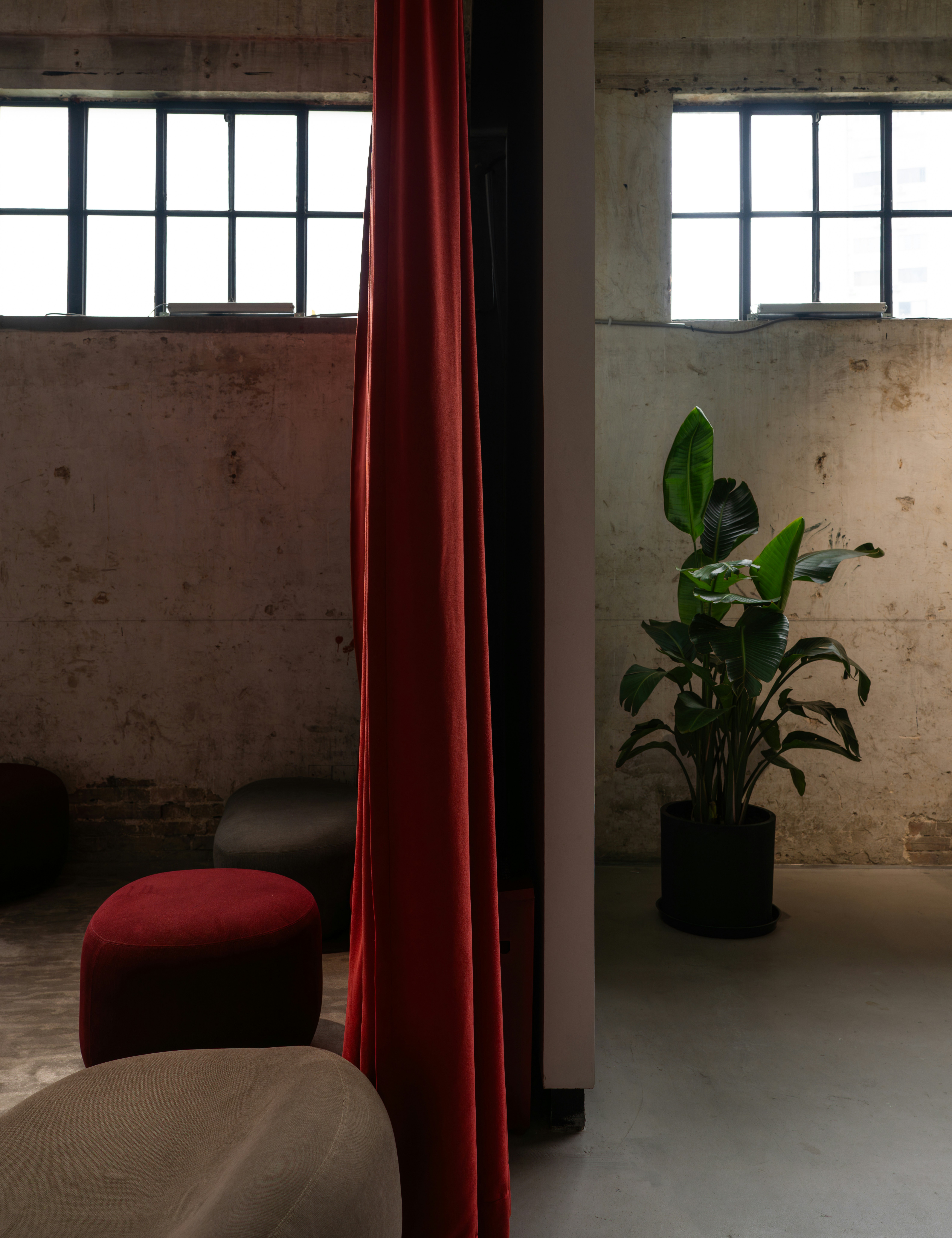 Red Curtain Divide: A Quiet Studio Corner with Greenery