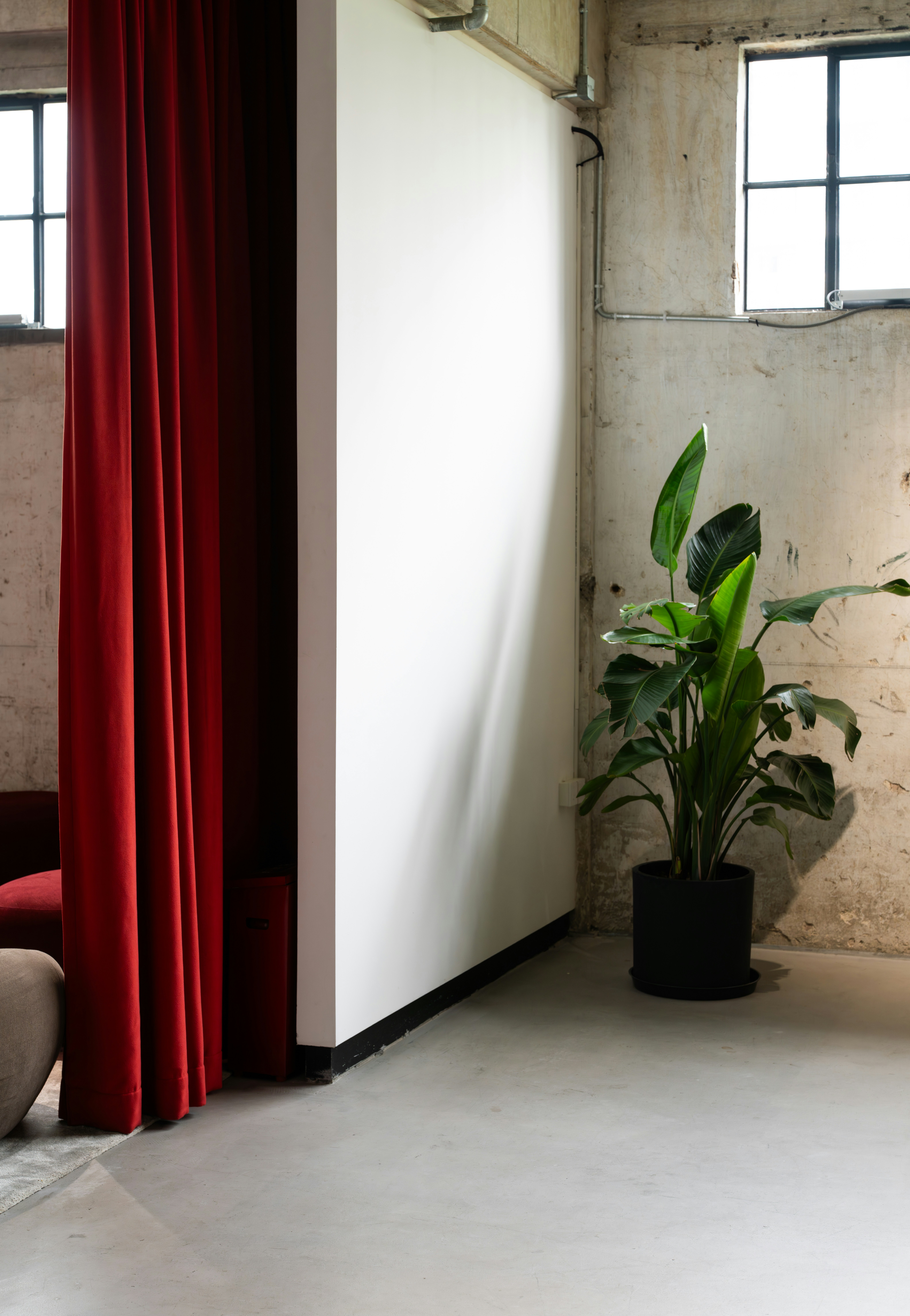 Red curtains, plant, and a modern concrete interior.