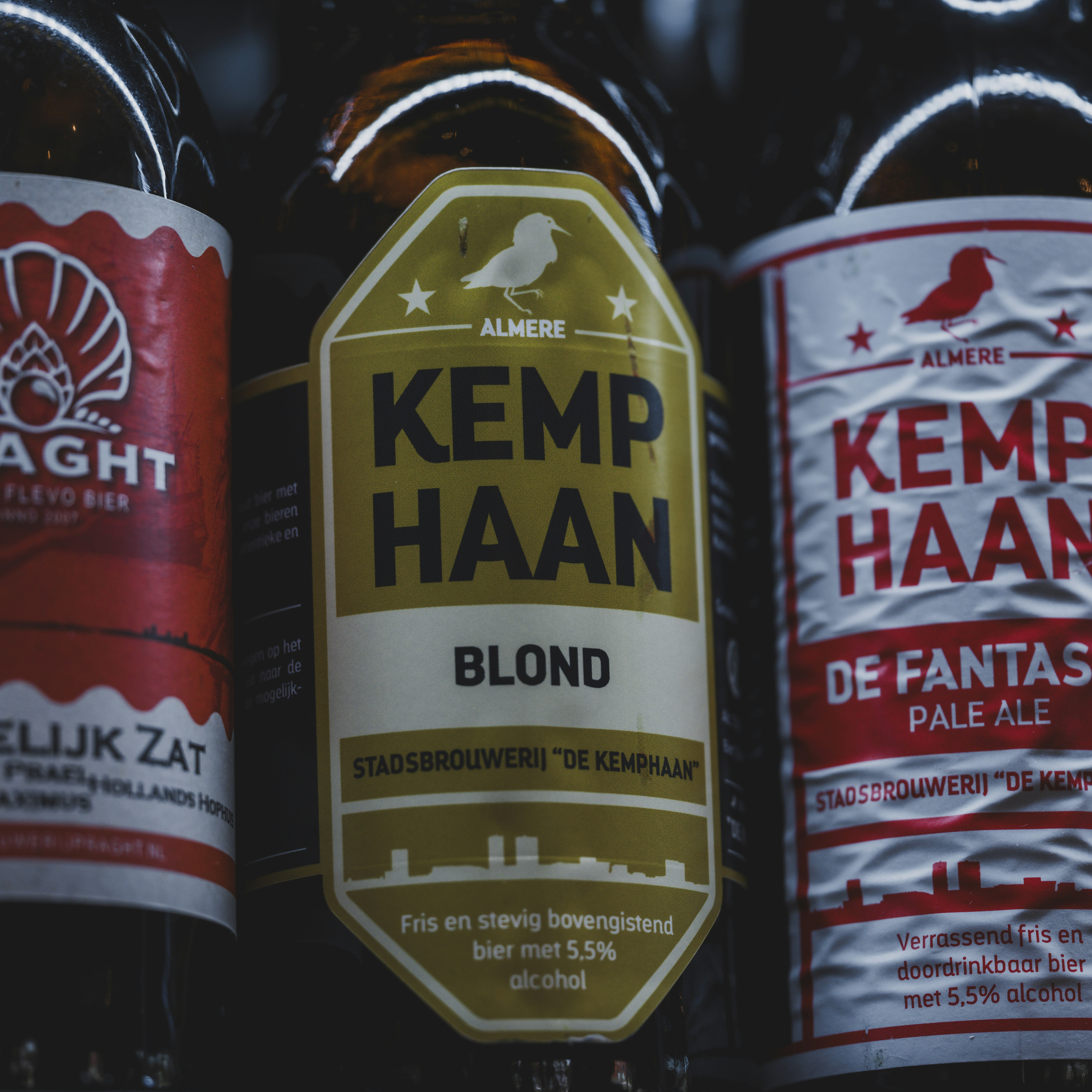 Gold Label in Low Light: Kemp Haan Blond Among Dark Bottles