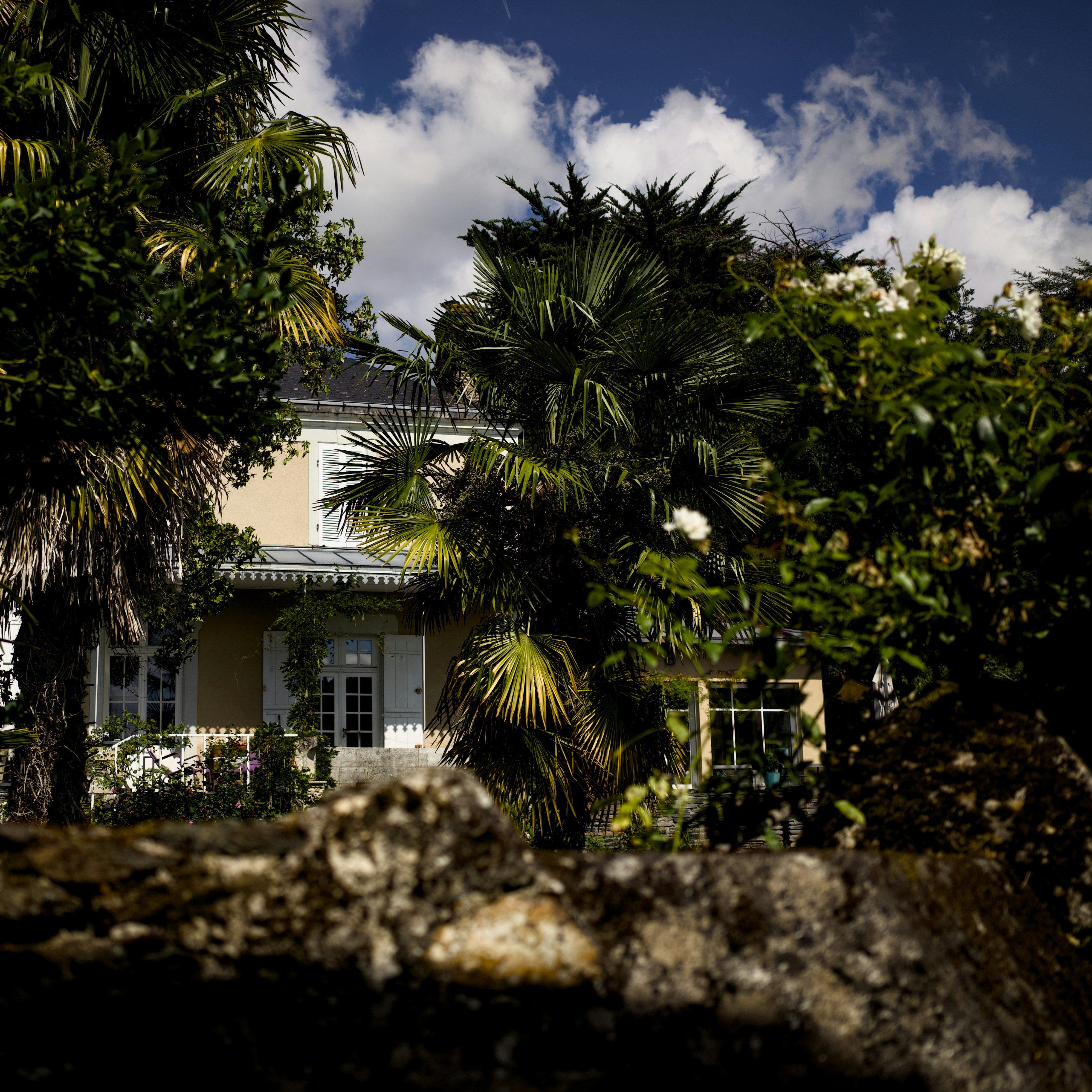 Charming house partially obscured by lush greenery, showcasing a tranquil garden setting. Sunlight filters through the leaves, creating a serene atmosphere.