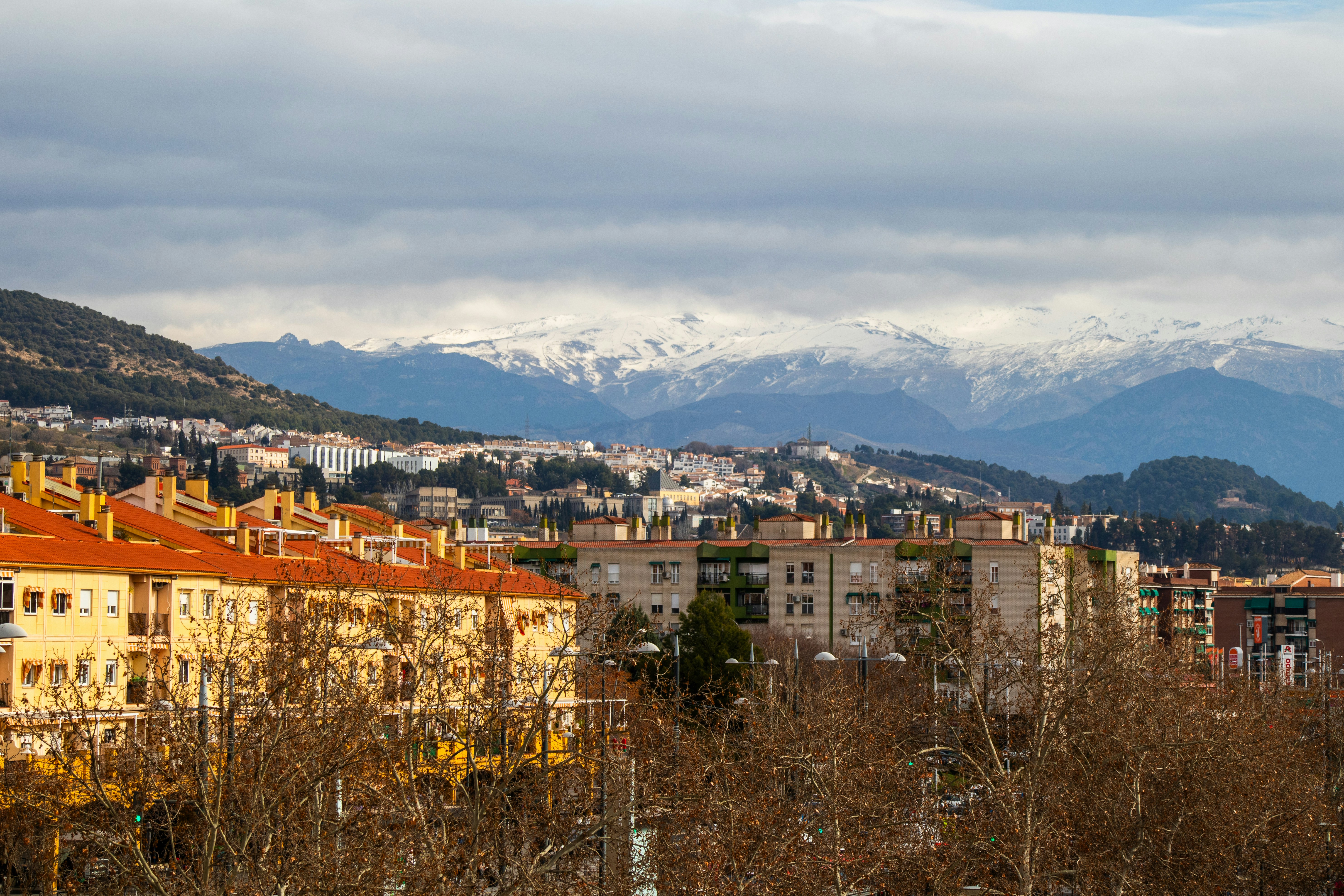 Photo by Jimmy Woo with Canon EOS M50