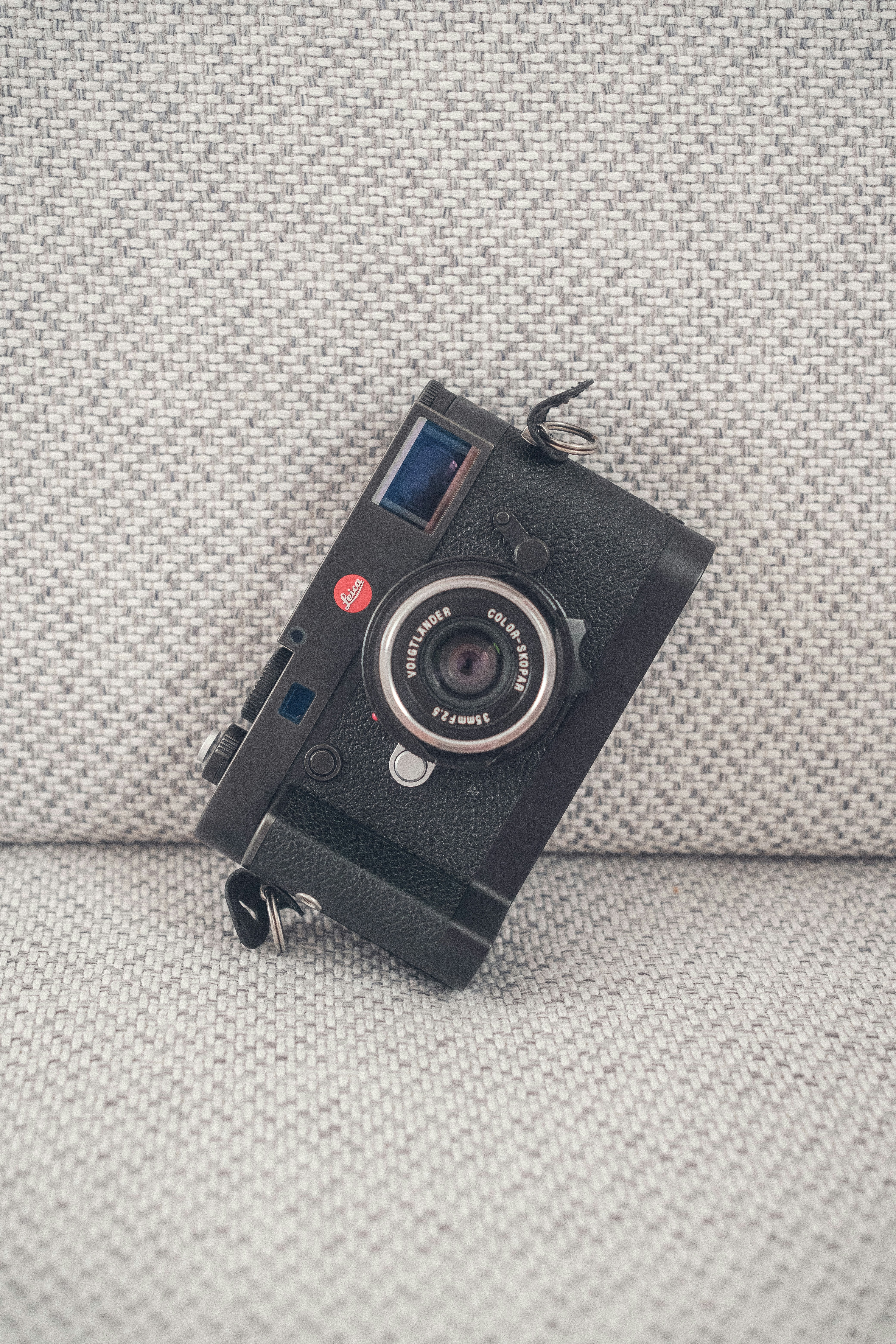The Art of Photography in Focus