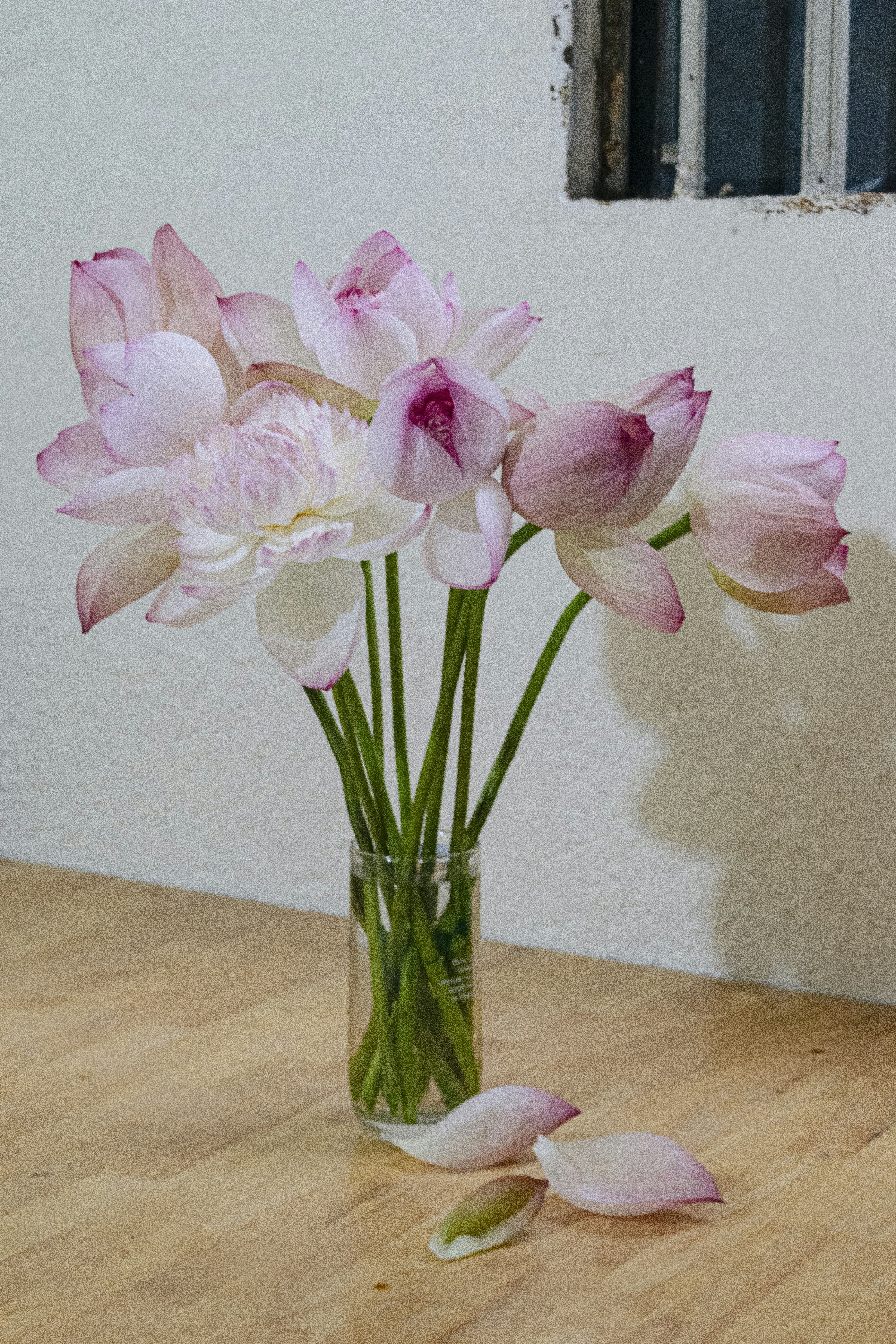Beautiful pink lotus flowers in a glass vase.