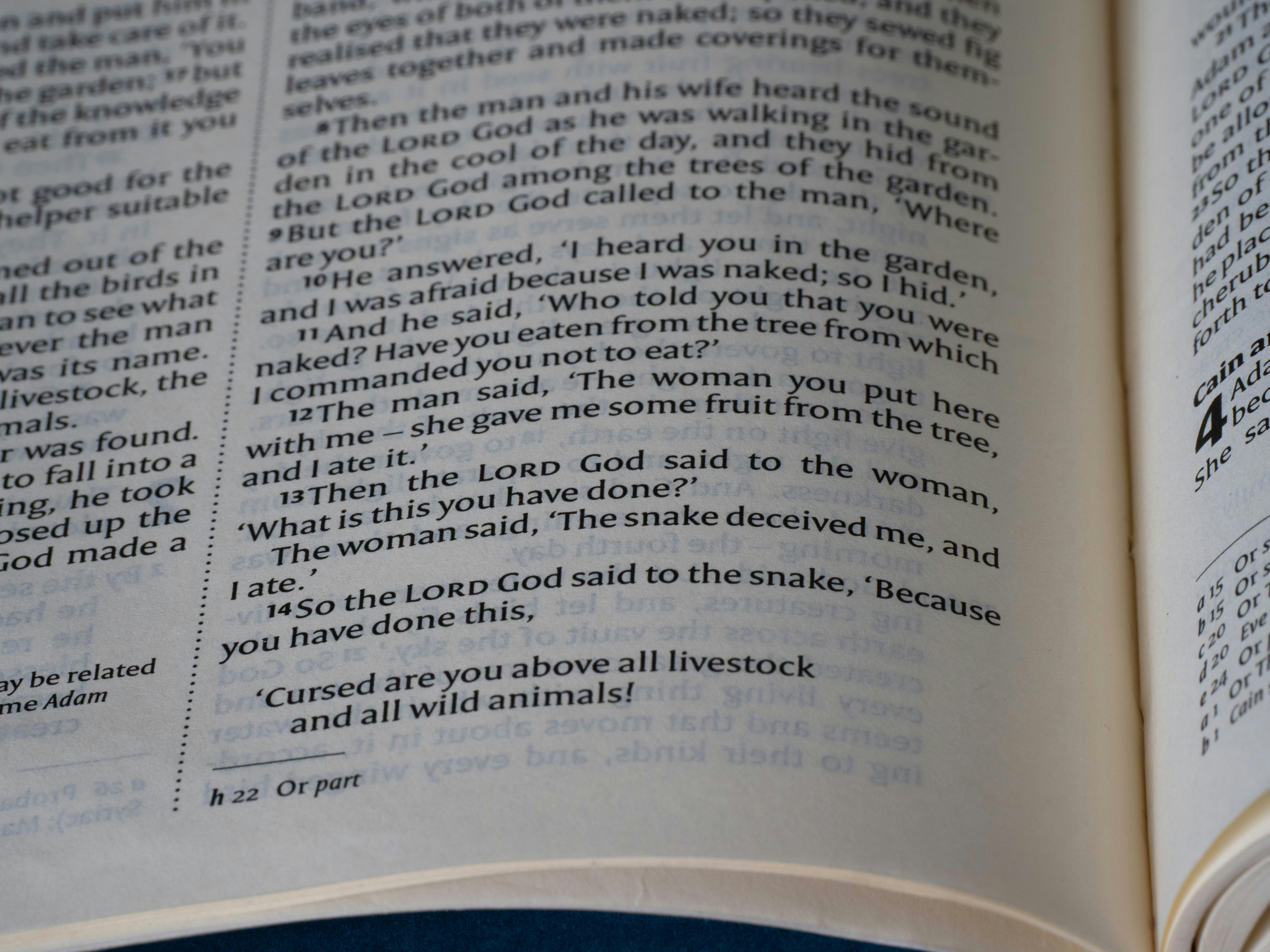 Ink and Illumination: Close-Up of a Bible Page in Soft Light