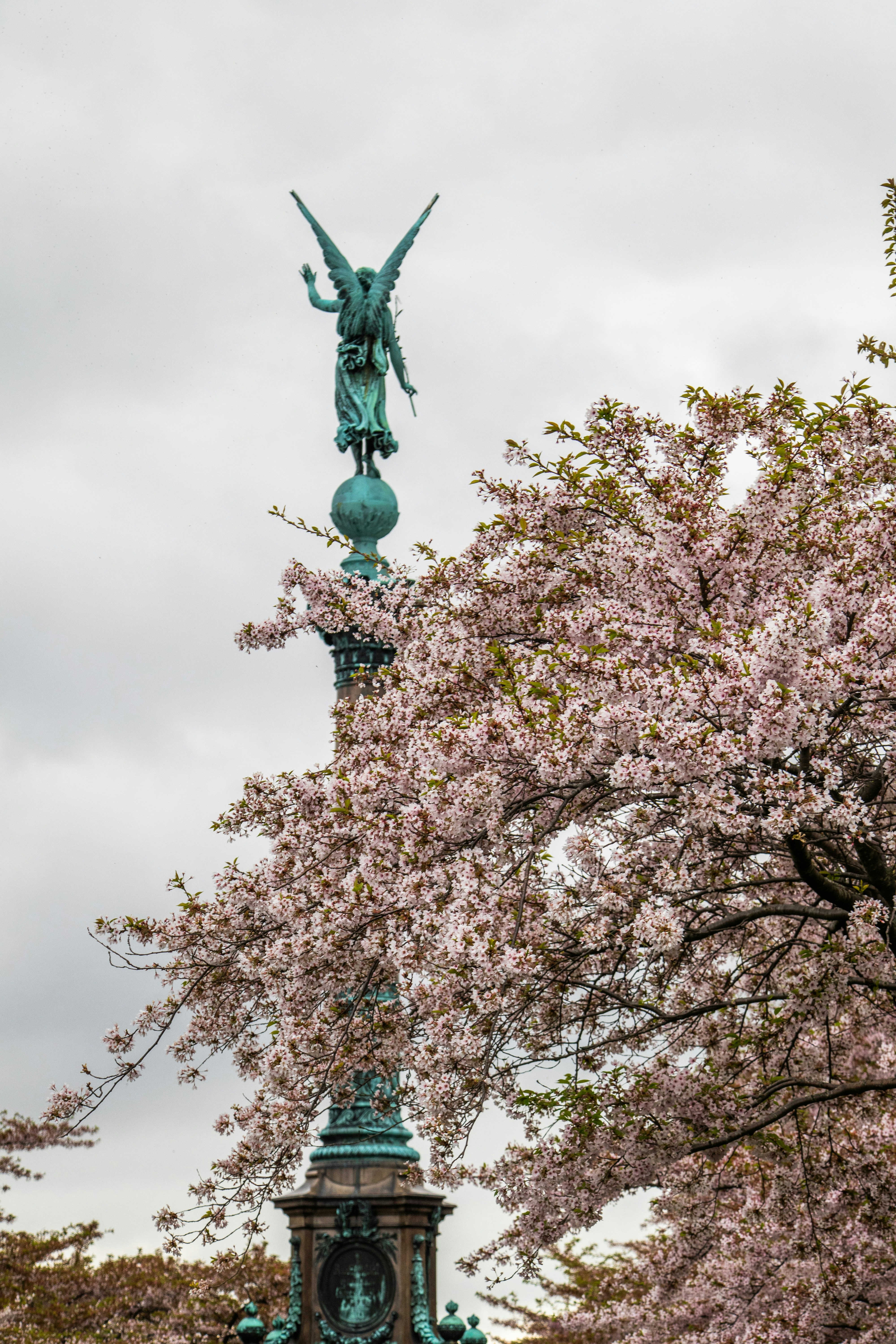 Blossoms and Guardian: A Statue Tower Framed by Spring Cherry