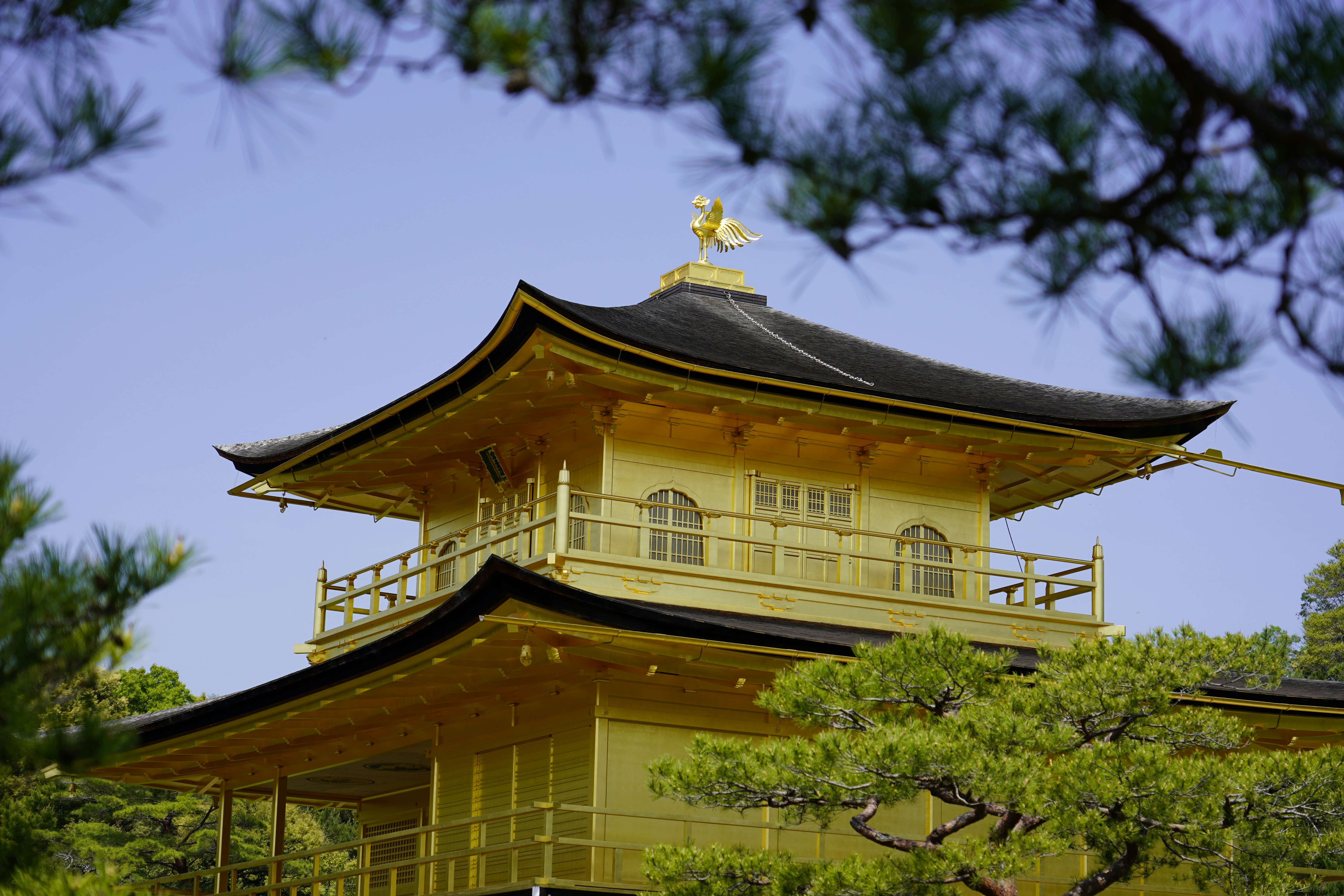 Golden temple, framed by lush greenery, stands tall.