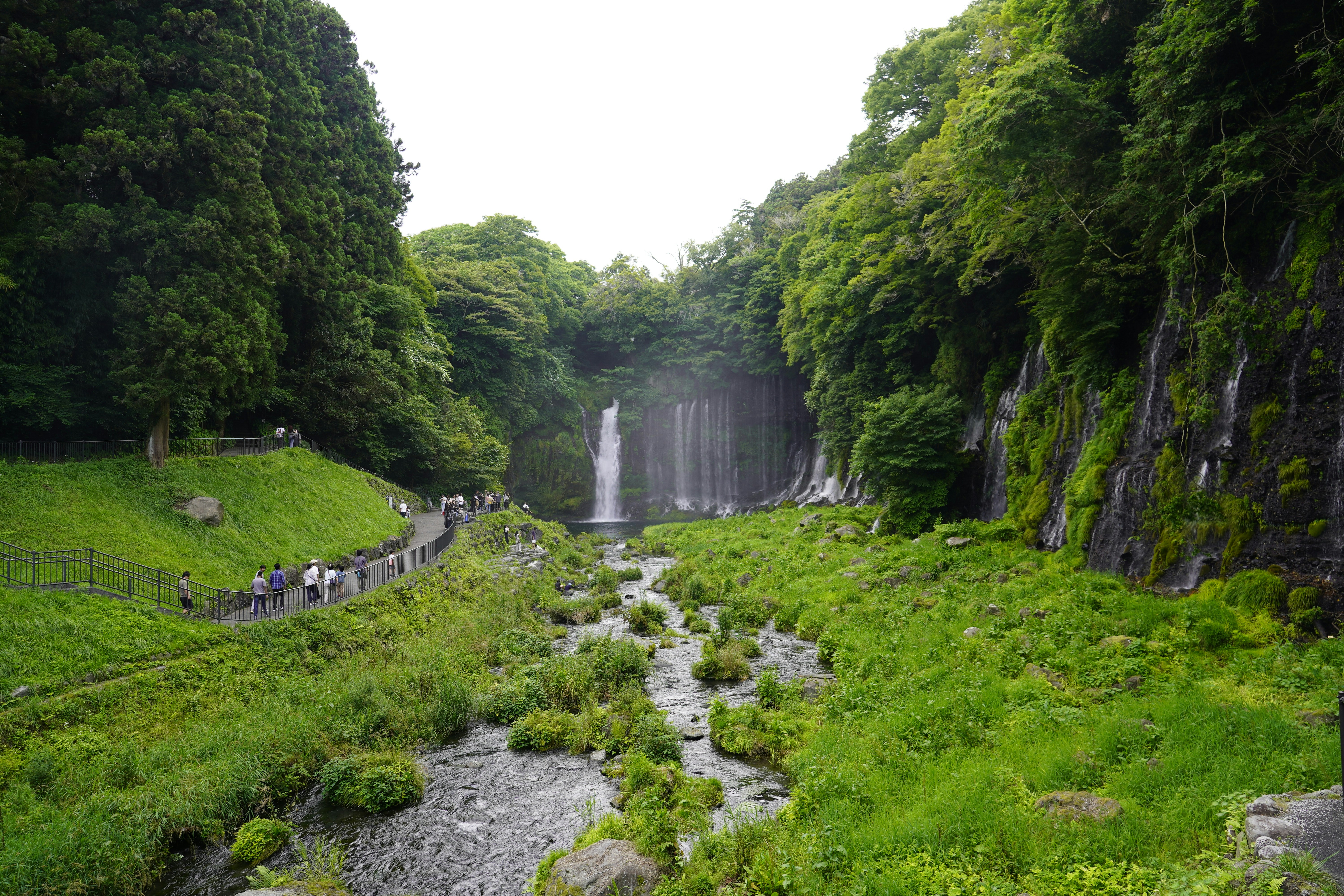 Whispers of Water: A Serene Cascade
