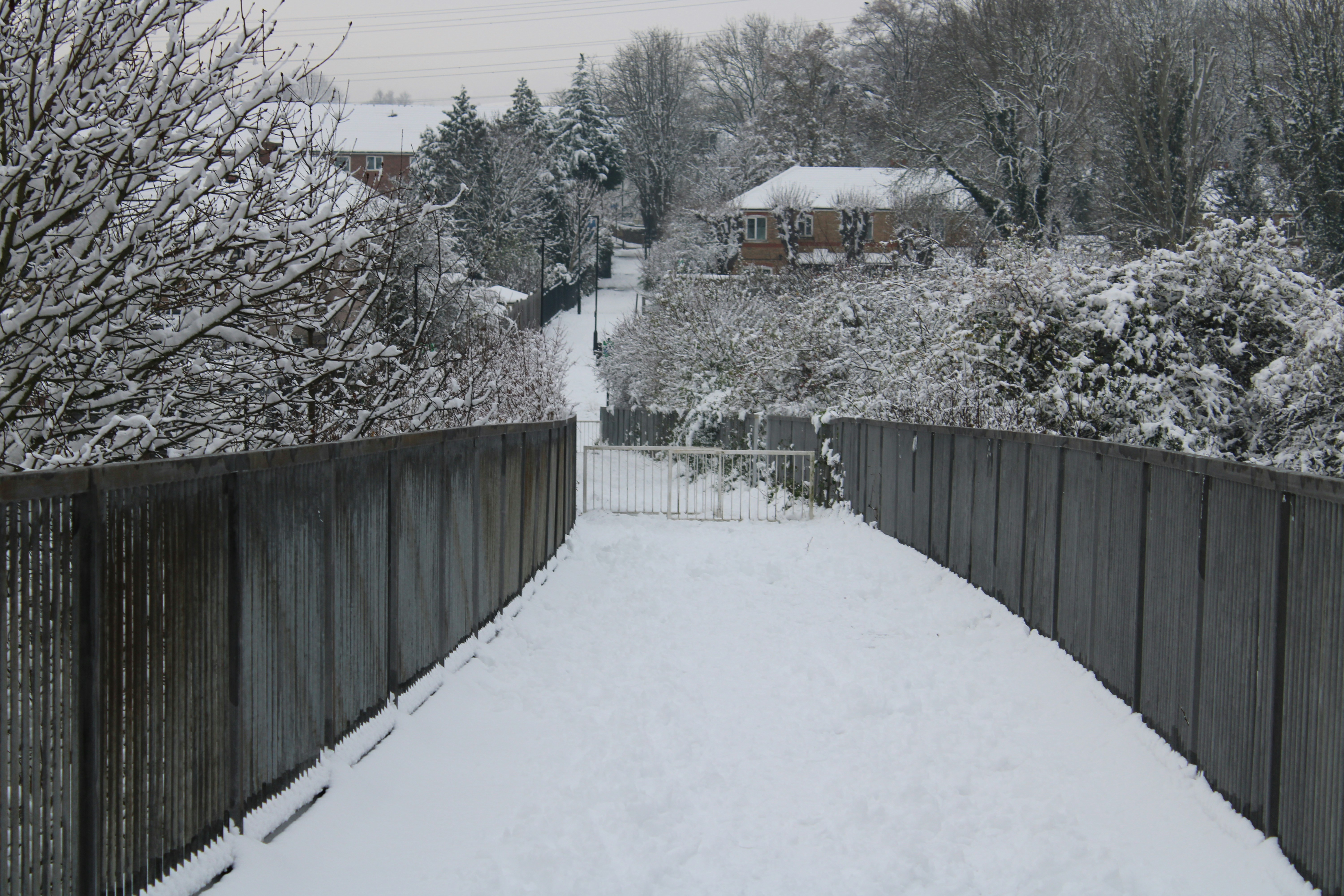 Snow-laden pathway leading through a serene winter landscape, flanked by frosted trees and a distant view of houses. A gate marks the entrance to the path.