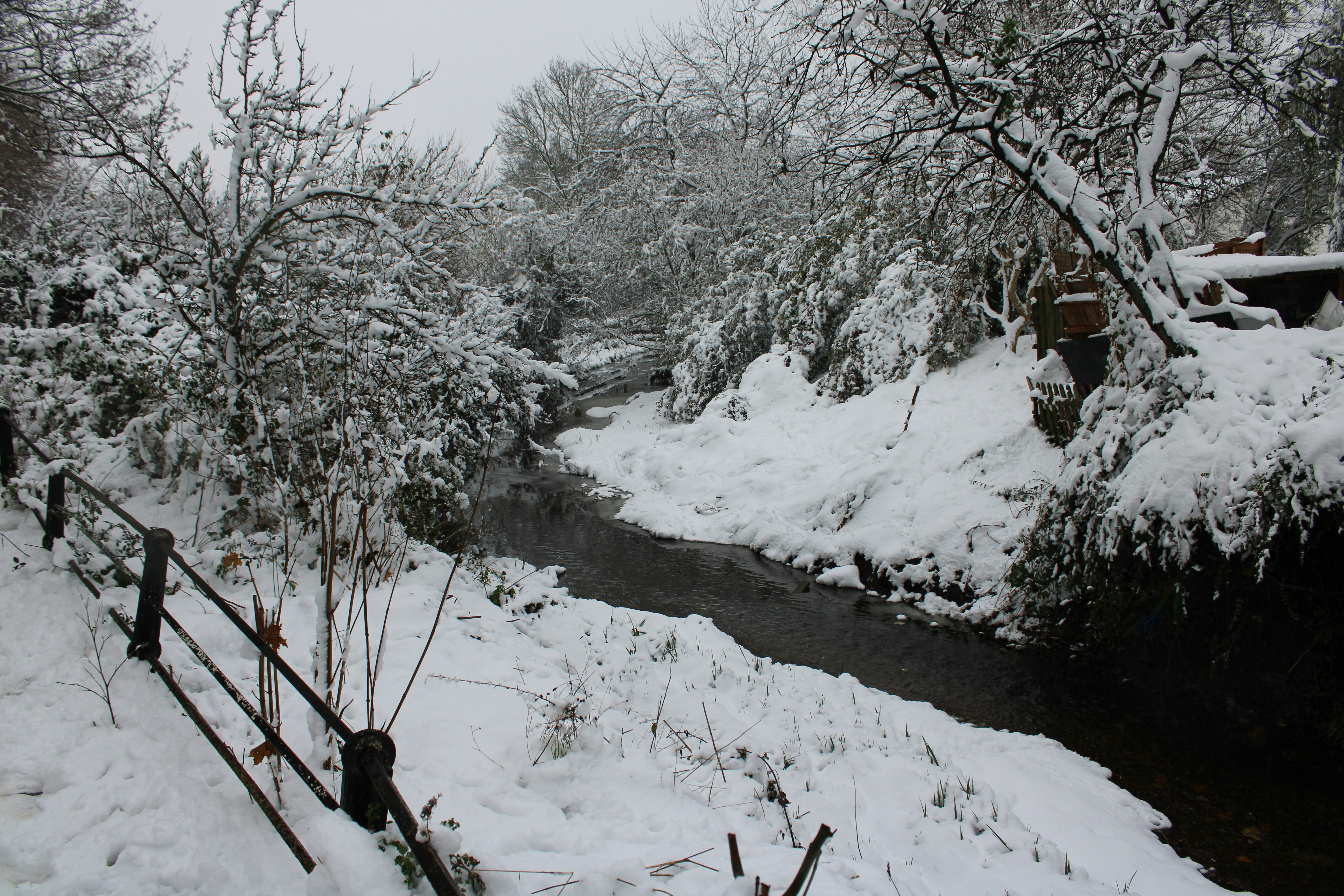 Frozen river | Snow covers a stream and its banks.