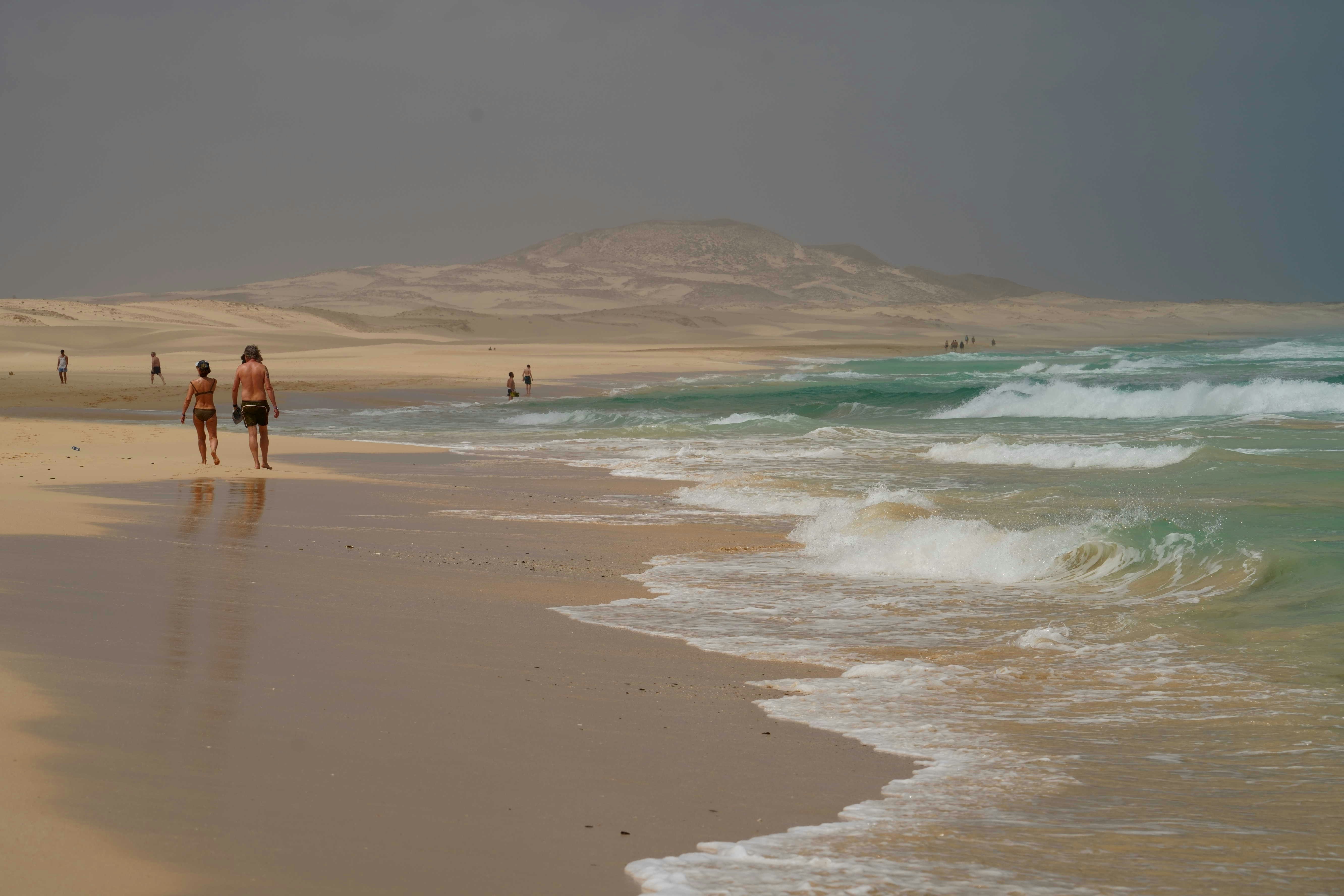 Serene Stroll Along the Shoreline