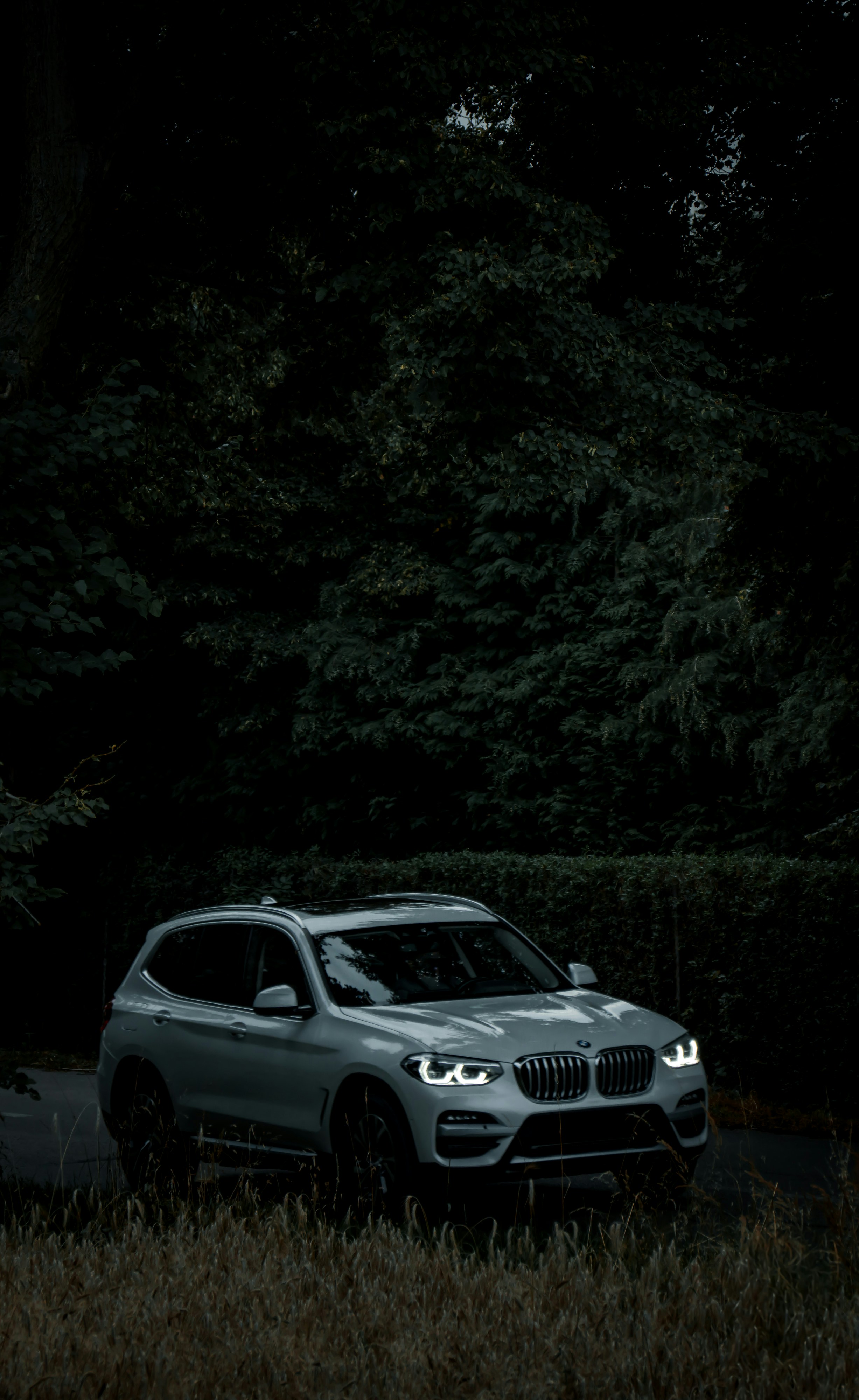 Elegance in the Shadows