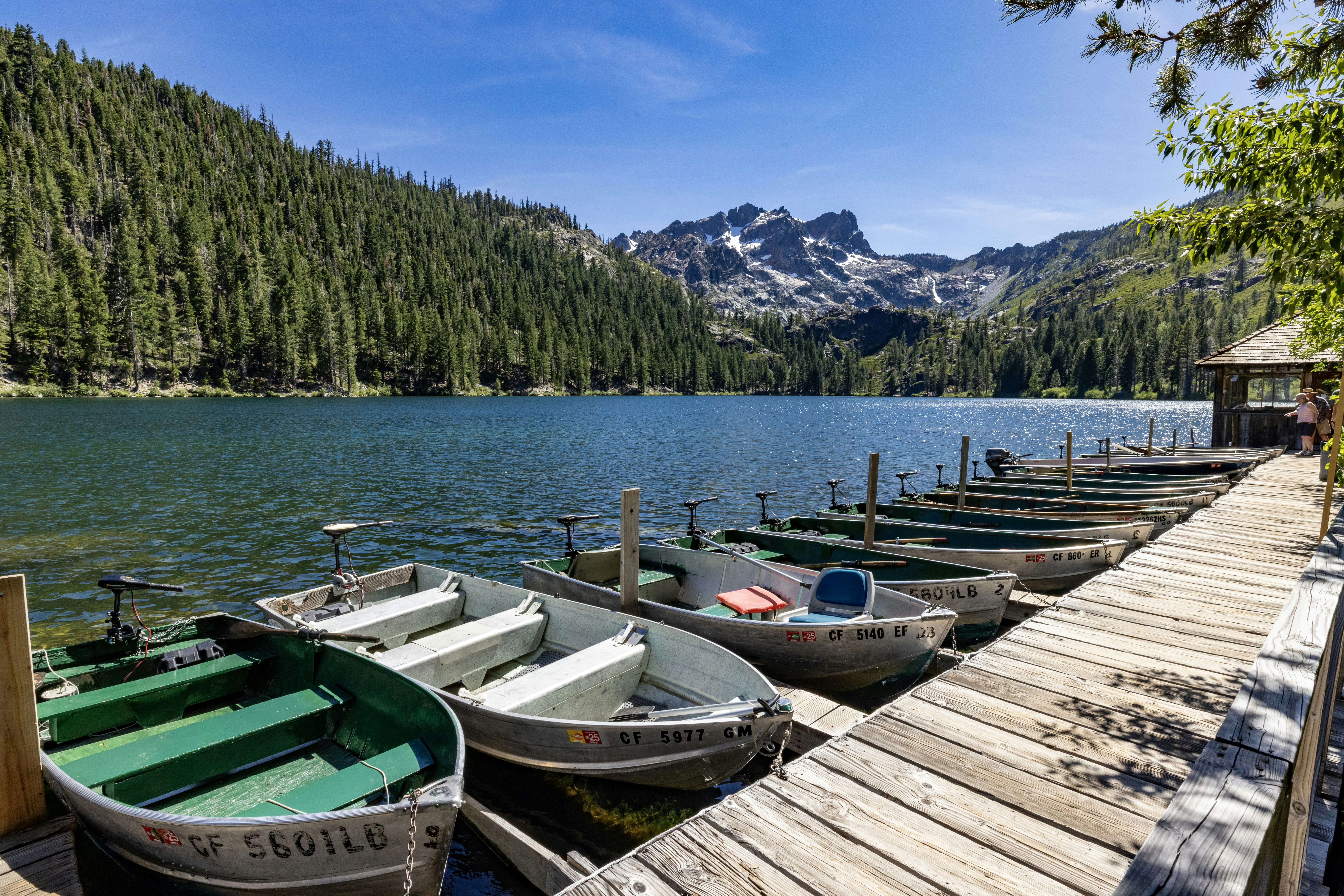 Rowboats lined up along a wooden dock beside a tranquil lake, surrounded by lush pine forests and distant snow-capped mountains.