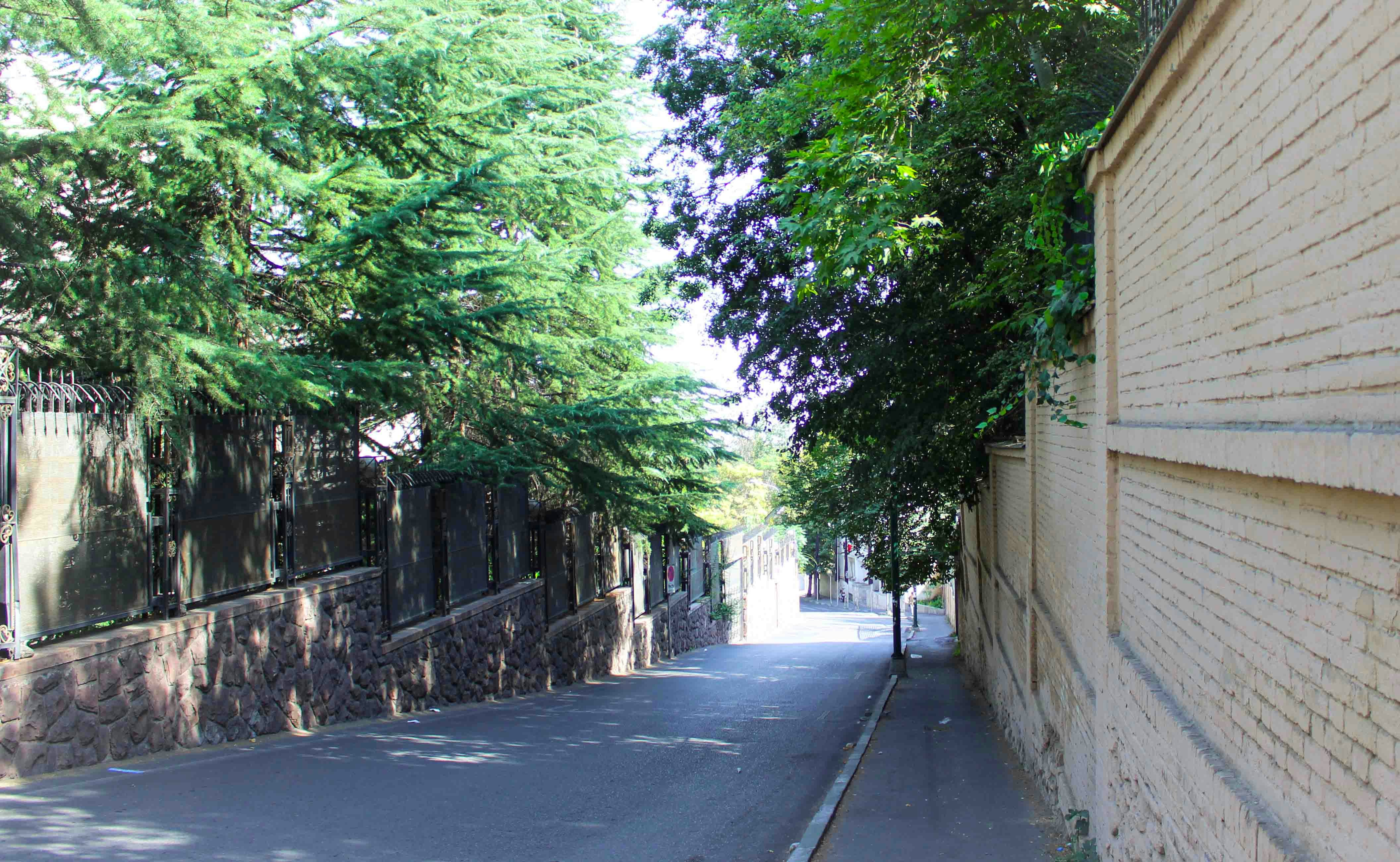 A quiet, tree-lined street gently sloping downward, bordered by a textured wall and dappled sunlight filtering through the leaves.